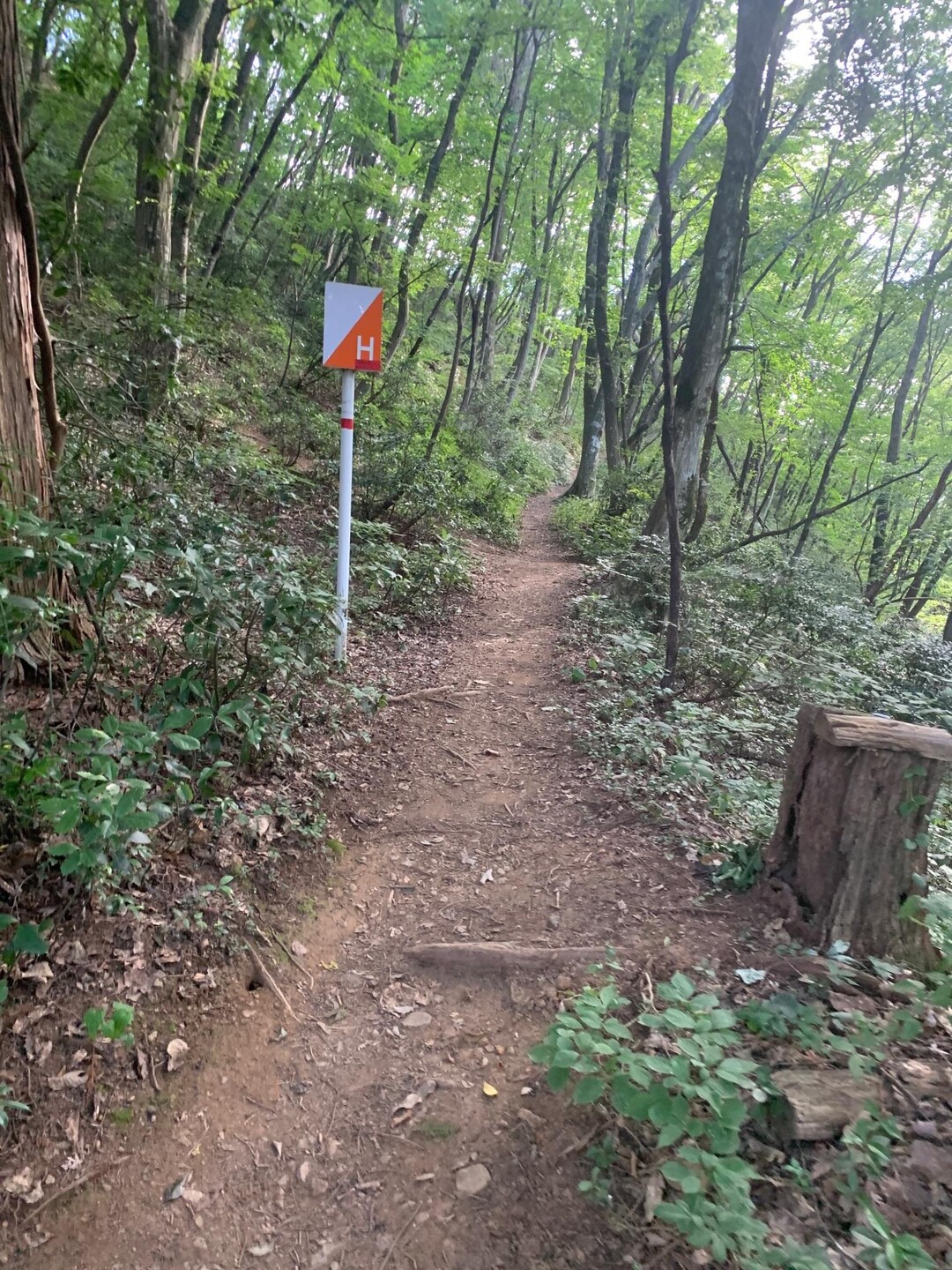 仕事終わりに1MJ🔰（ソロ） / JOG太郎さんの文殊山の活動データ | YAMAP / ヤマップ