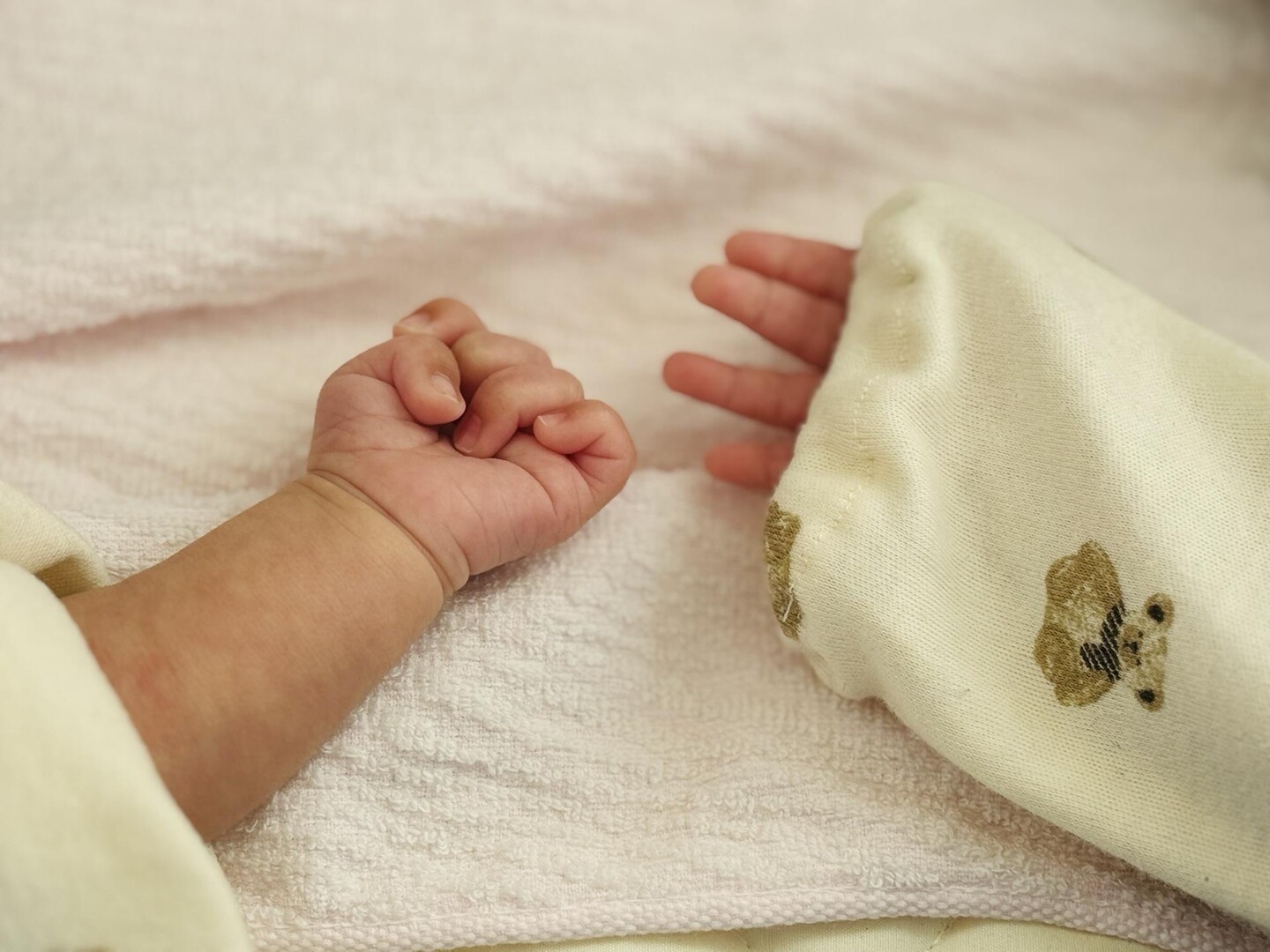 2025.2.5 📍日本のどこか 2... / ayakaさんのモーメント | YAMAP / ヤマップ