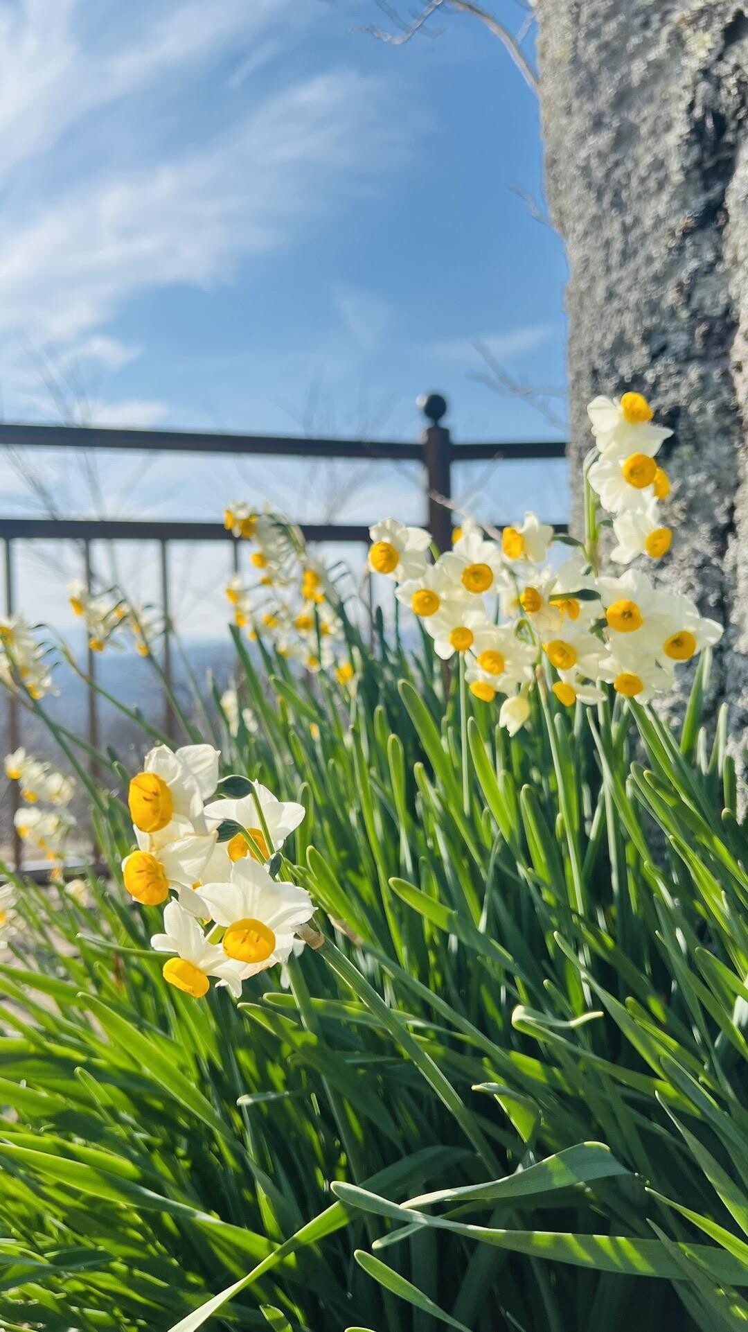 浅間山・権現山・弘法山・吾妻山 / yama__tabiさんの弘法山の活動データ | YAMAP / ヤマップ