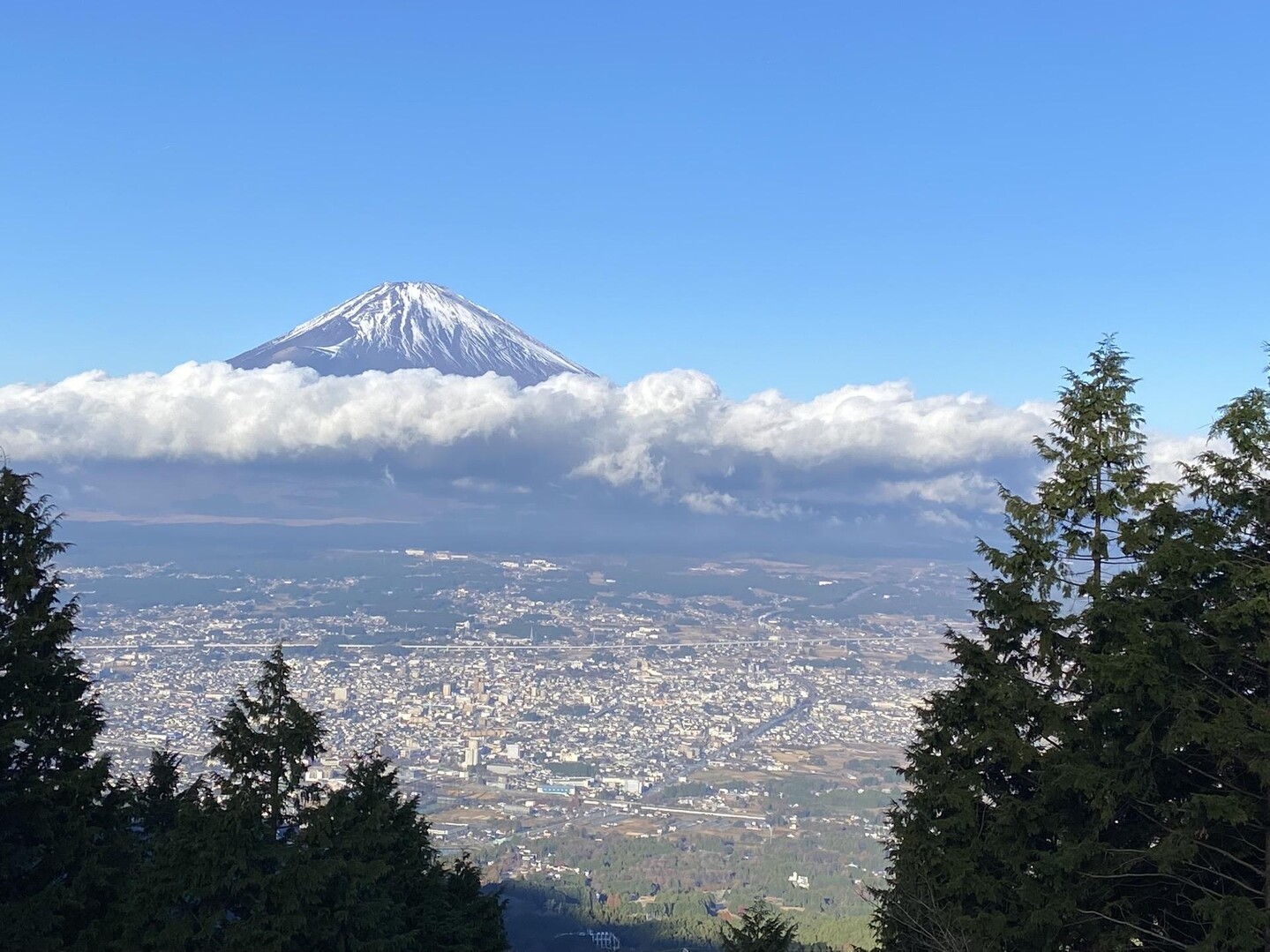 長尾山・金時山 / Kiさんの金時山・明神ヶ岳の活動日記 | YAMAP / ヤマップ