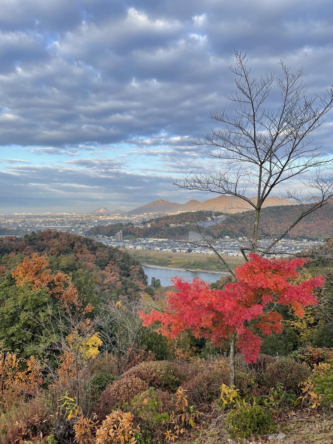 継鹿尾山・両見山(西山)・天神山・大平山 / minorunさんの鳩吹山の活動データ | YAMAP / ヤマップ