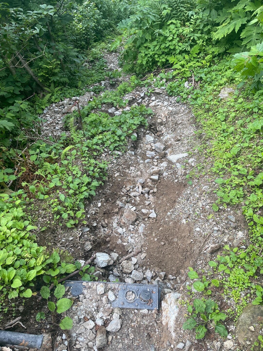 keiさんの投稿したフィールドメモ | YAMAP / ヤマップ