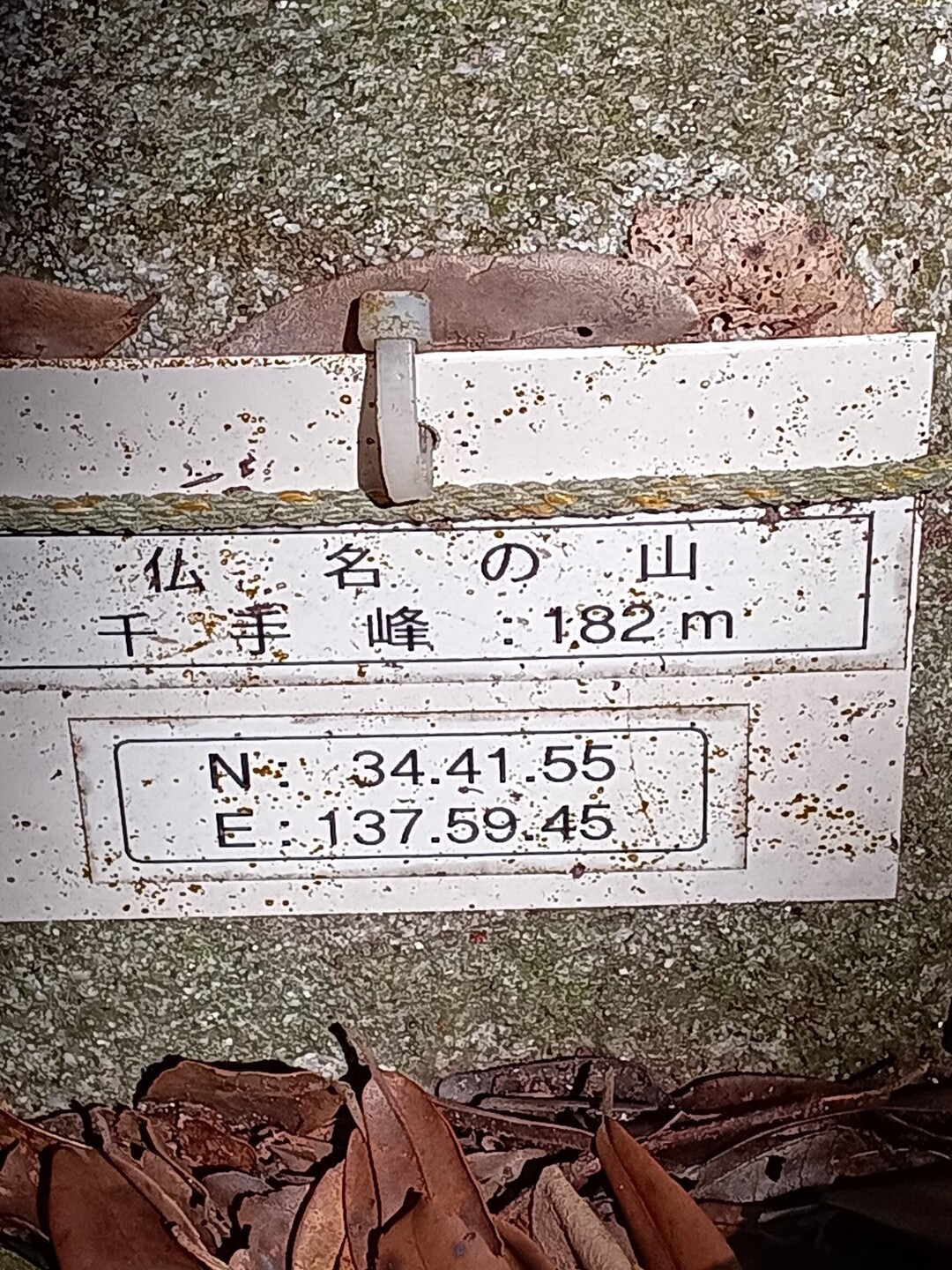 千手峰【登山道をYAMAPへ追加希望】 / k54さんの小笠山の活動データ | YAMAP / ヤマップ