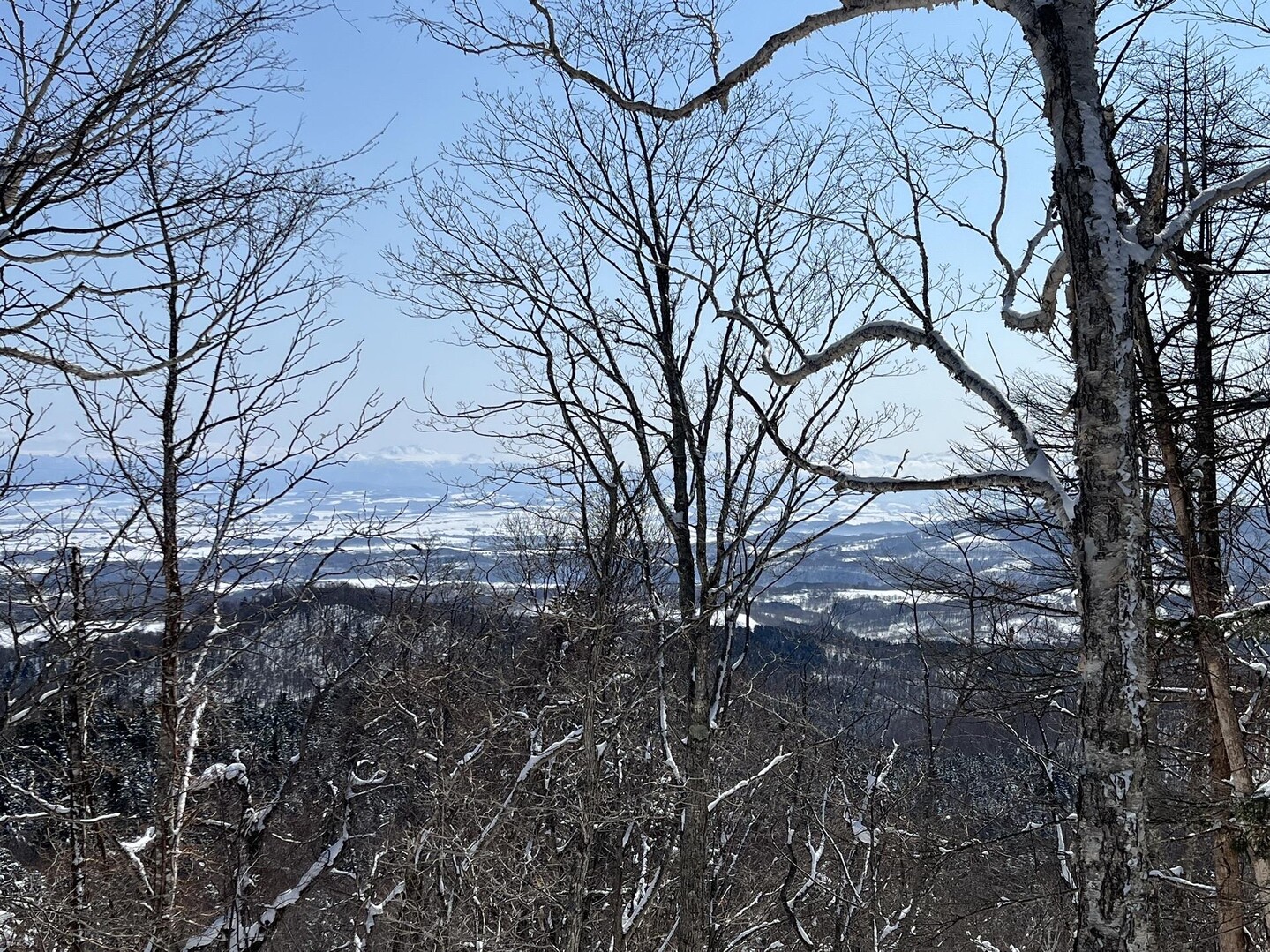晴れ晴れ☀️の伊之沢山・丸山 / tar_cyさんの伊之沢山・丸山の活動日記 | YAMAP / ヤマップ