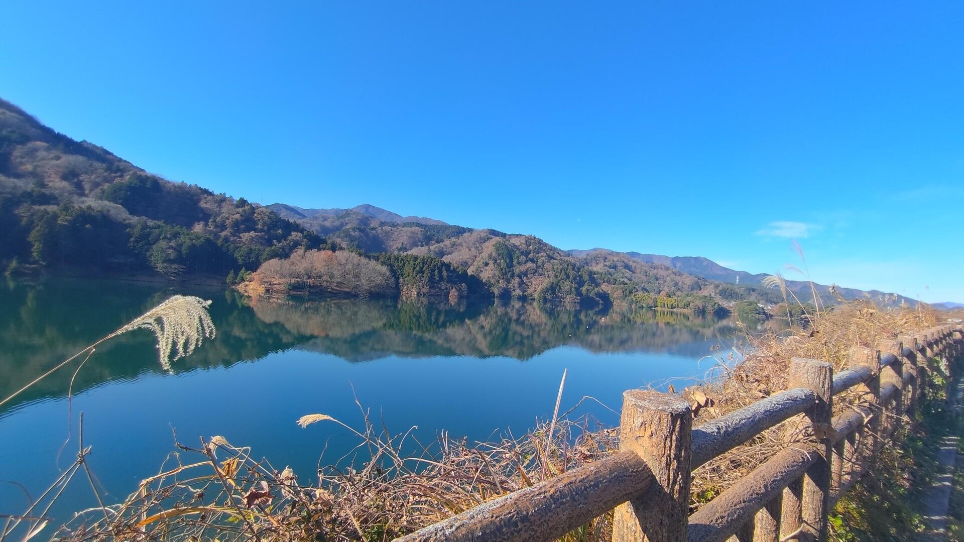 仏果山・高取山（半原高取山） / buruさんの仙洞寺山・南山・津久井堂所山の活動データ | YAMAP / ヤマップ