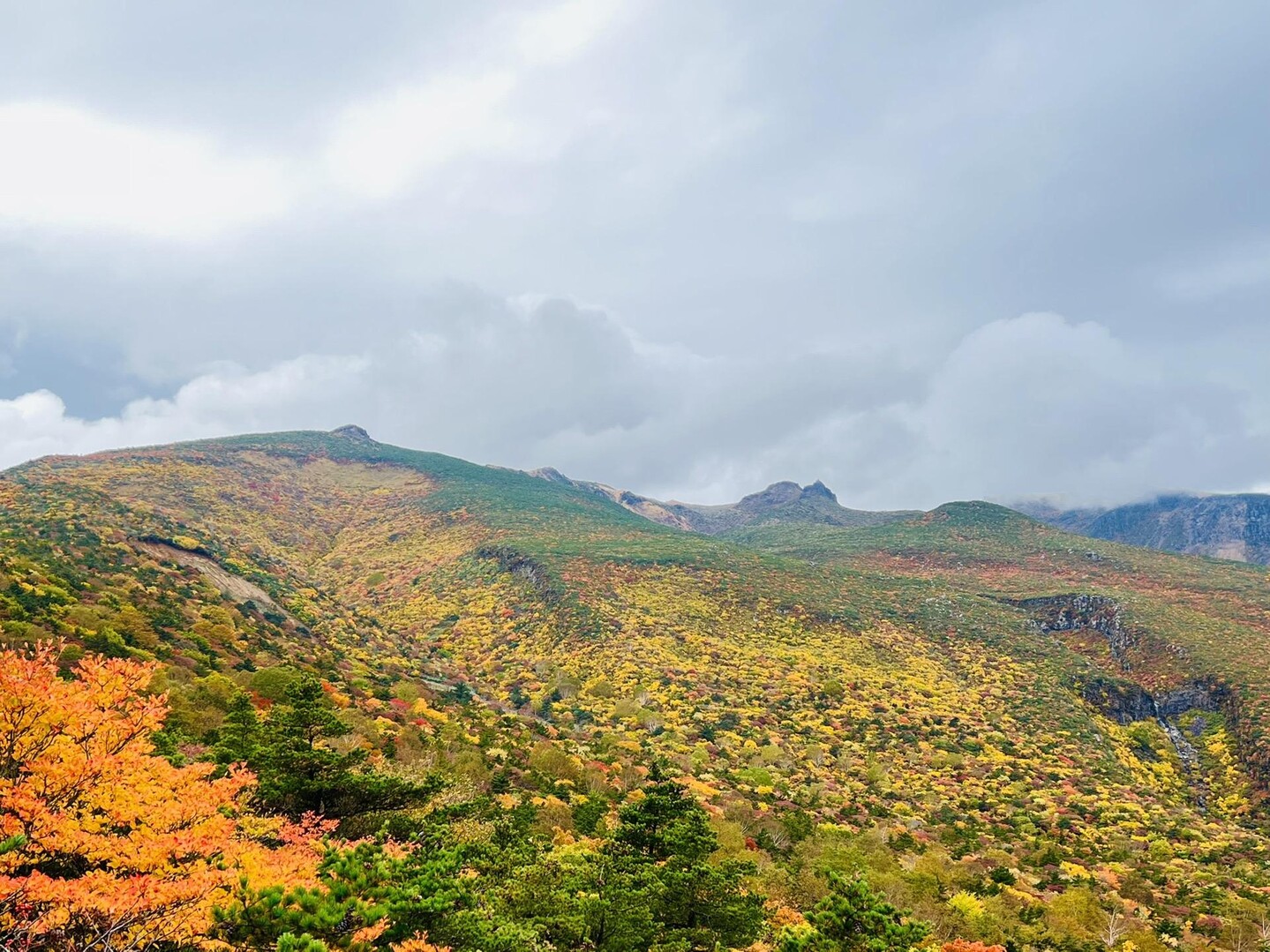 今日は生憎の曇り空でしたが、実家の母と安... / ymatさんのモーメント | YAMAP / ヤマップ