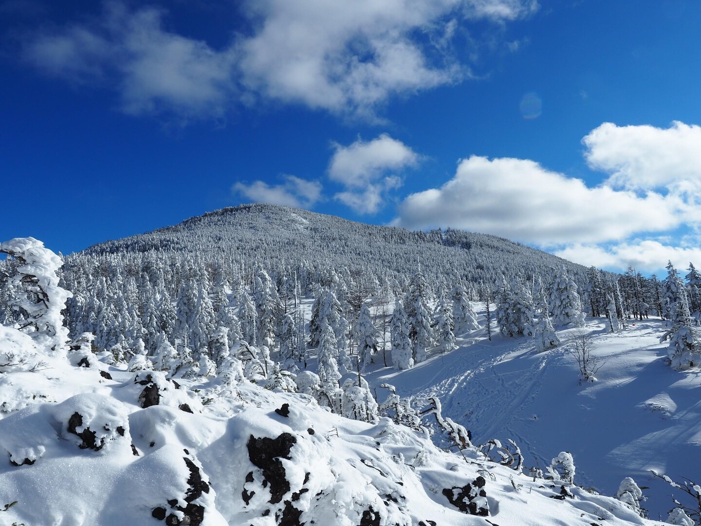 今シーズン初雪山 北横岳 / yossyさんの蓼科山・横岳・縞枯山の活動データ | YAMAP / ヤマップ
