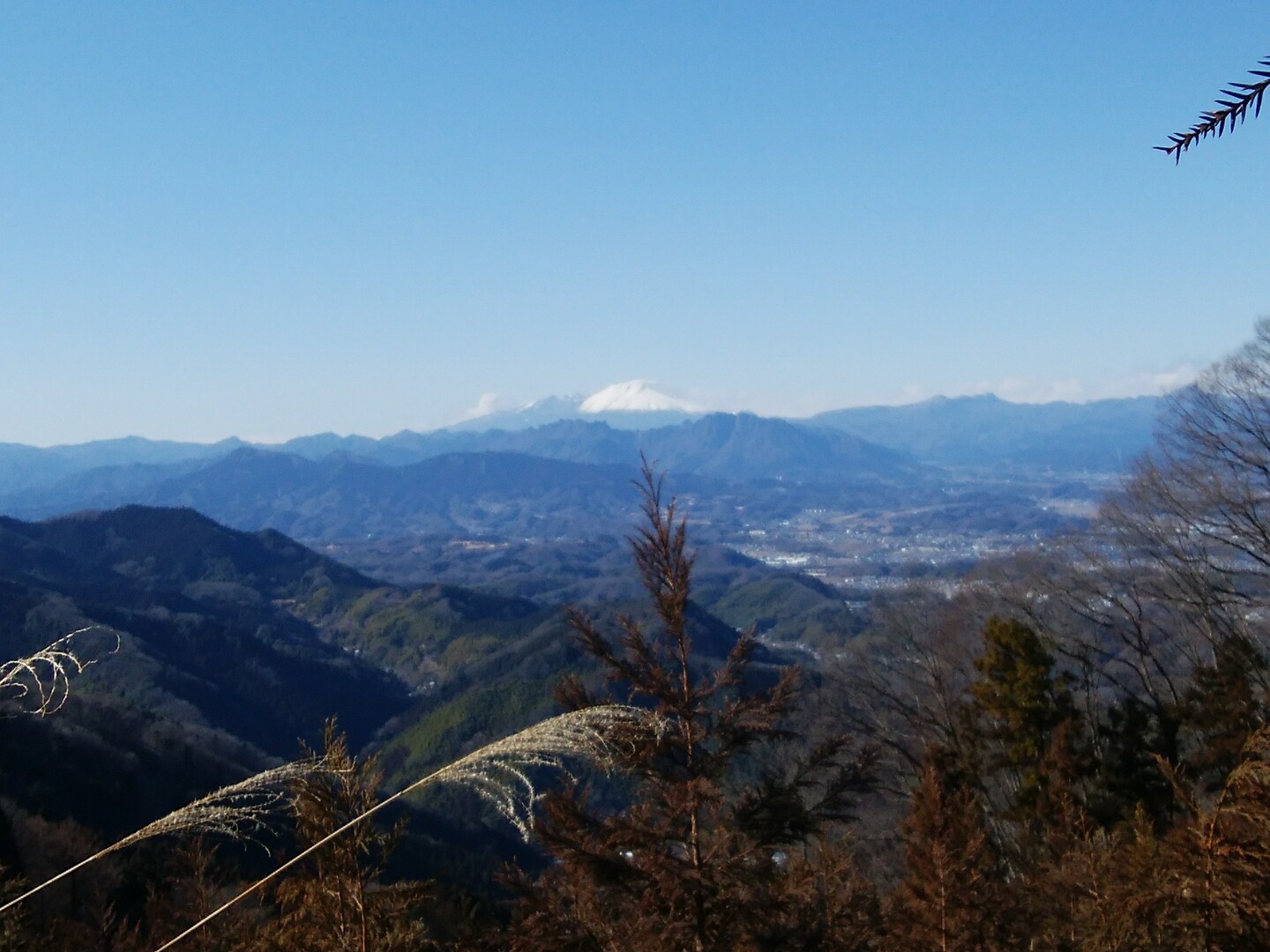 天狗山＠群馬百名山 / jinba-shuさんの御荷鉾山・オドケ山・桐ノ城山の活動データ | YAMAP / ヤマップ