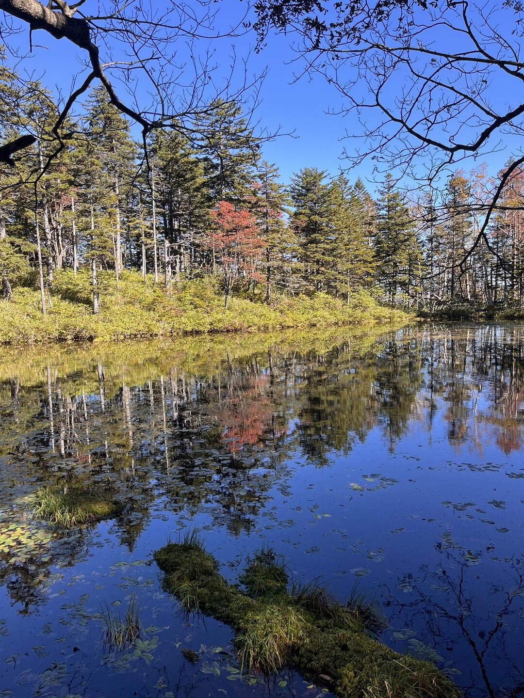 前天狗・天狗岳・ニペソツ山 / zect (ゼクト)さんのニペソツ山の活動データ | YAMAP / ヤマップ