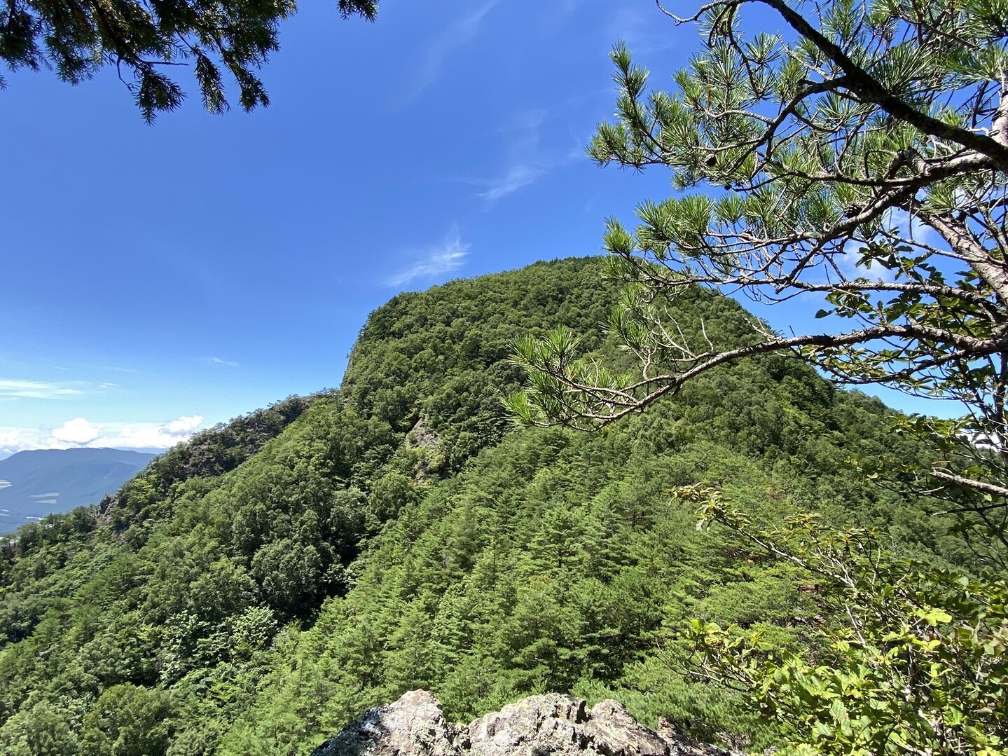 天狗山 / nonさんの男山・天狗山の活動データ | YAMAP / ヤマップ