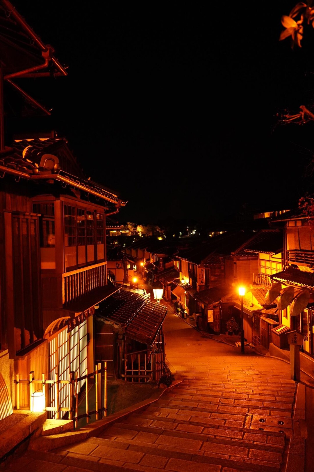 2024.12.29 Sun 日曜日よ... / ねこひでき🐈さんのモーメント | YAMAP / ヤマップ