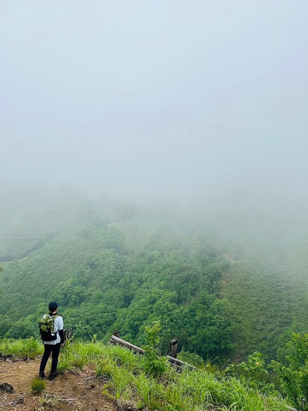 雨にも負けず⁉︎ 19ピークハント / kakoさんの両崖山・仙人ヶ岳・石尊山の活動日記 | YAMAP / ヤマップ