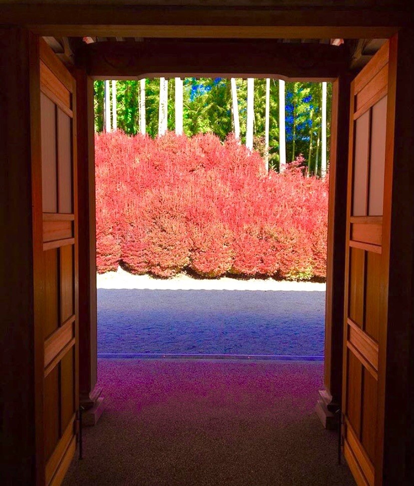 この場所🍁に行かないと冬が来ない pa... / すい🌸さんのモーメント | YAMAP / ヤマップ