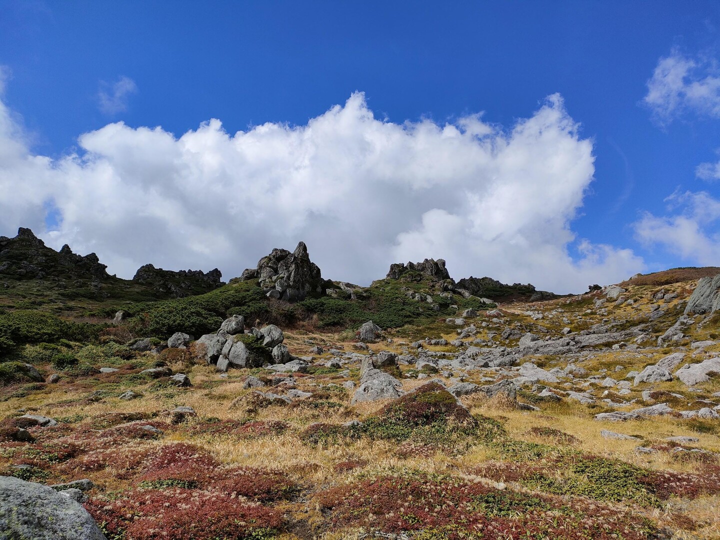 トムラウシ山 / さゆりさんのGT3 2の活動データ | YAMAP / ヤマップ