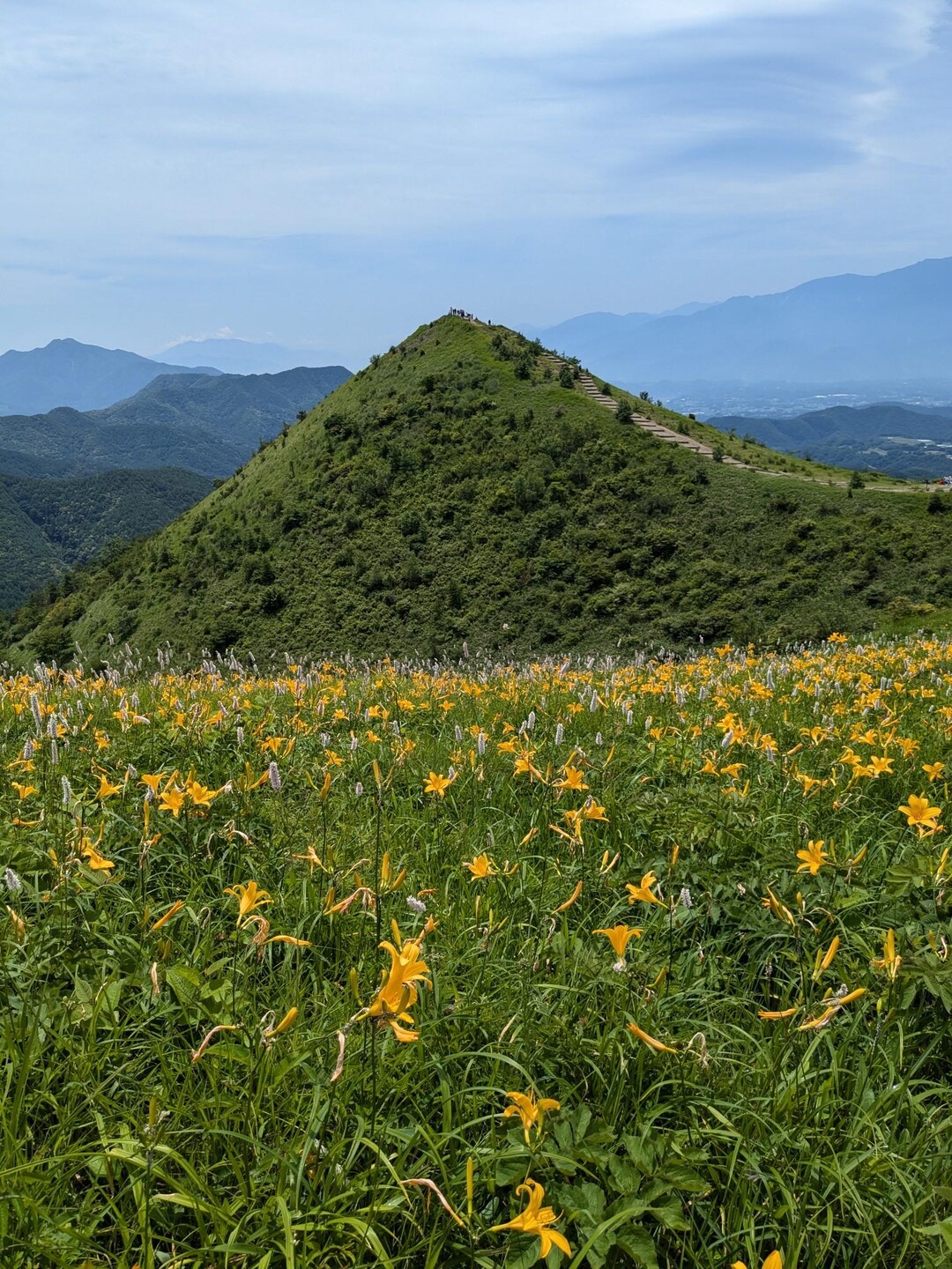 飯盛山・大盛山 / sugiさんの飯盛山の活動データ | YAMAP / ヤマップ