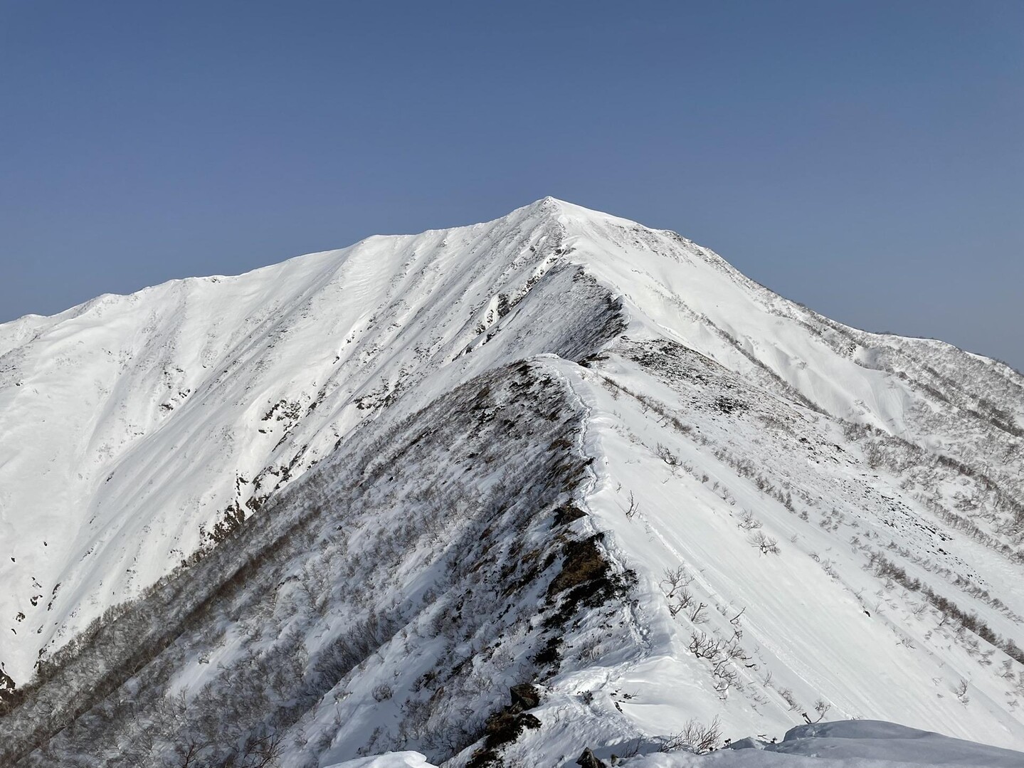 ピリカヌプリ / YRPのビさんの野塚岳・双子山（オムシャヌプリ）の活動データ | YAMAP / ヤマップ