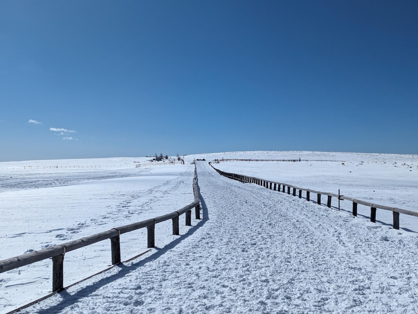 美ヶ原（王ヶ頭） / souさんの美ヶ原の活動データ | YAMAP / ヤマップ