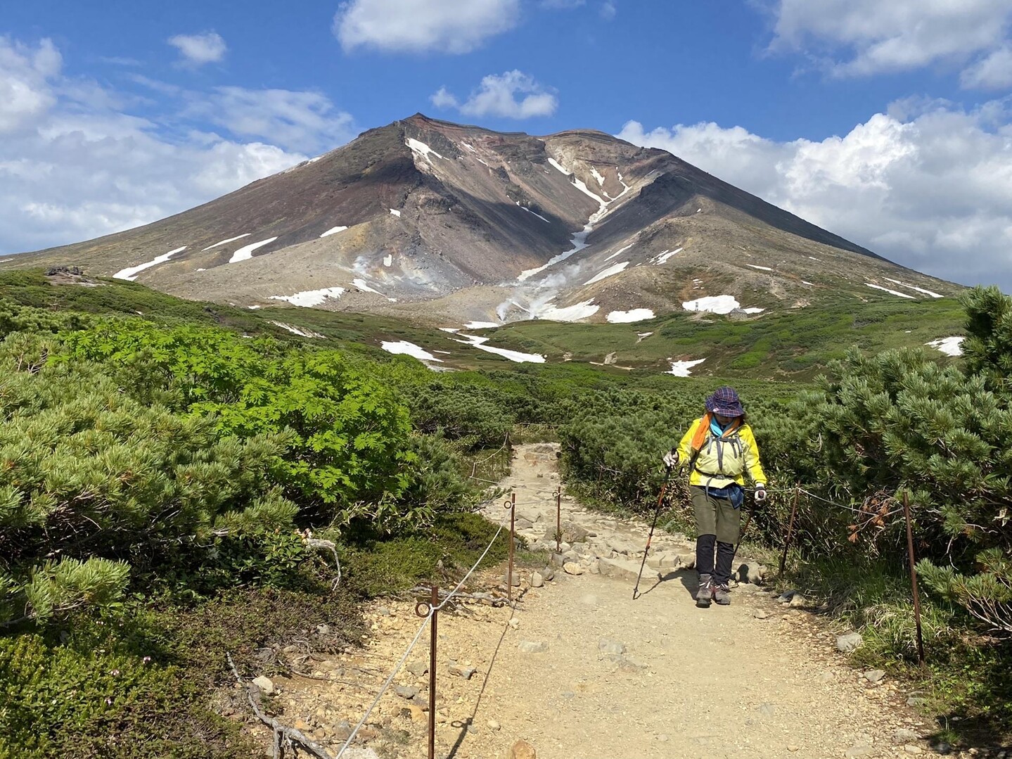 6月 旭岳 トムラウシへの道 / 短足ボブさんの大雪山系・旭岳・トムラウシの活動データ | YAMAP / ヤマップ