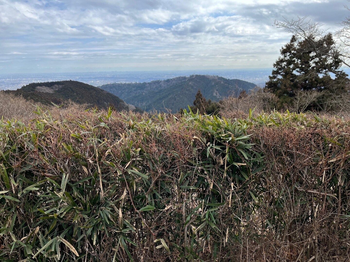 日影乗鞍-小仏城山-高尾山 / Y-kobaさんの高尾山・陣馬山・景信山の活動データ | YAMAP / ヤマップ