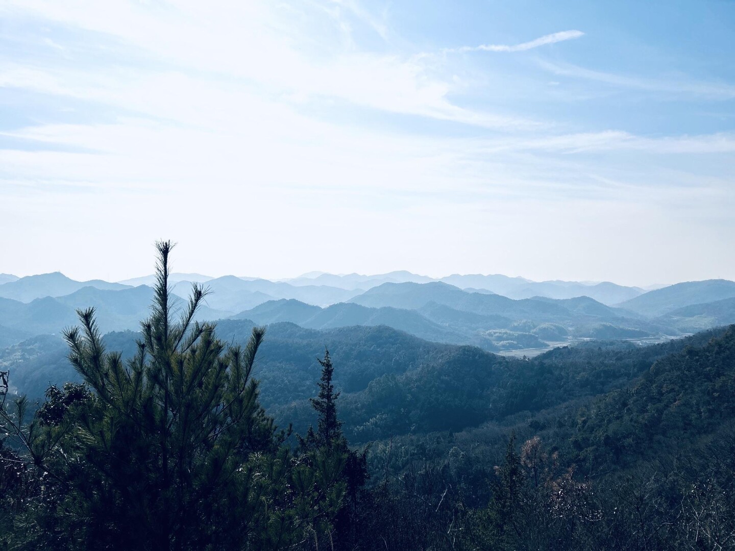 2023年上り納め 東の山・藤ノ木山&山に登らない娘の山debut‼️そして・・・ / Yokotakaさんの加西アルプス・笠松山・善防山の活動データ | YAMAP / ヤマップ