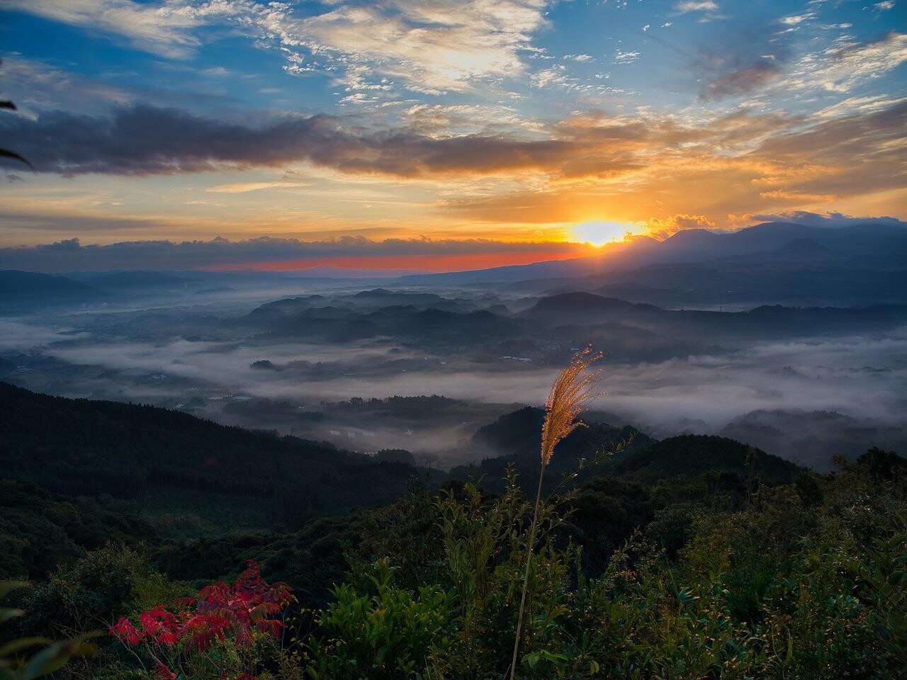 いつもの裏山魚野・・晩秋探し求め藪分け入... / sin358さんのモーメント | YAMAP / ヤマップ