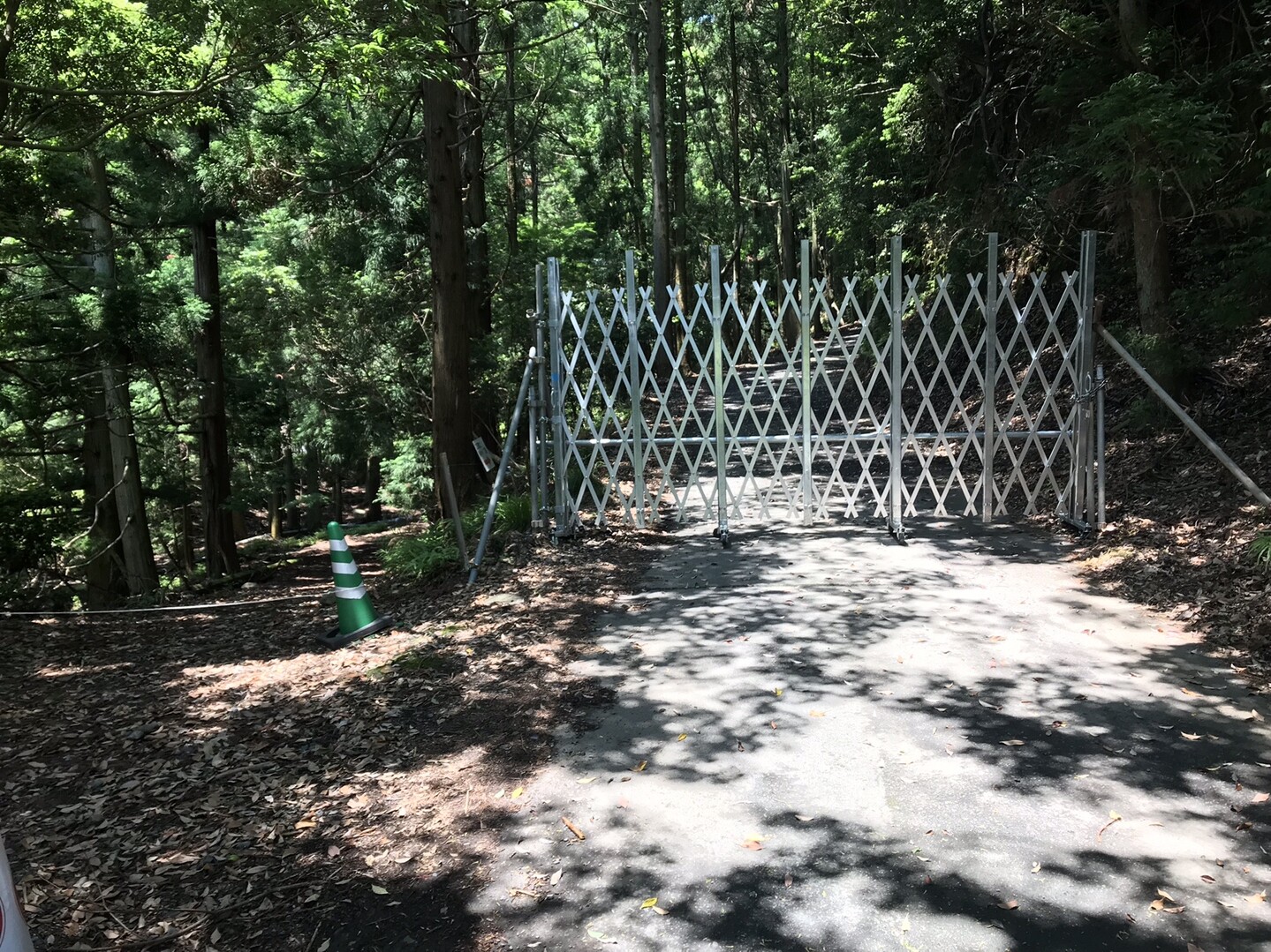 入道ヶ岳 / Joy Rさんの入道ヶ岳・鎌ヶ岳・仙ヶ岳の活動データ | YAMAP / ヤマップ