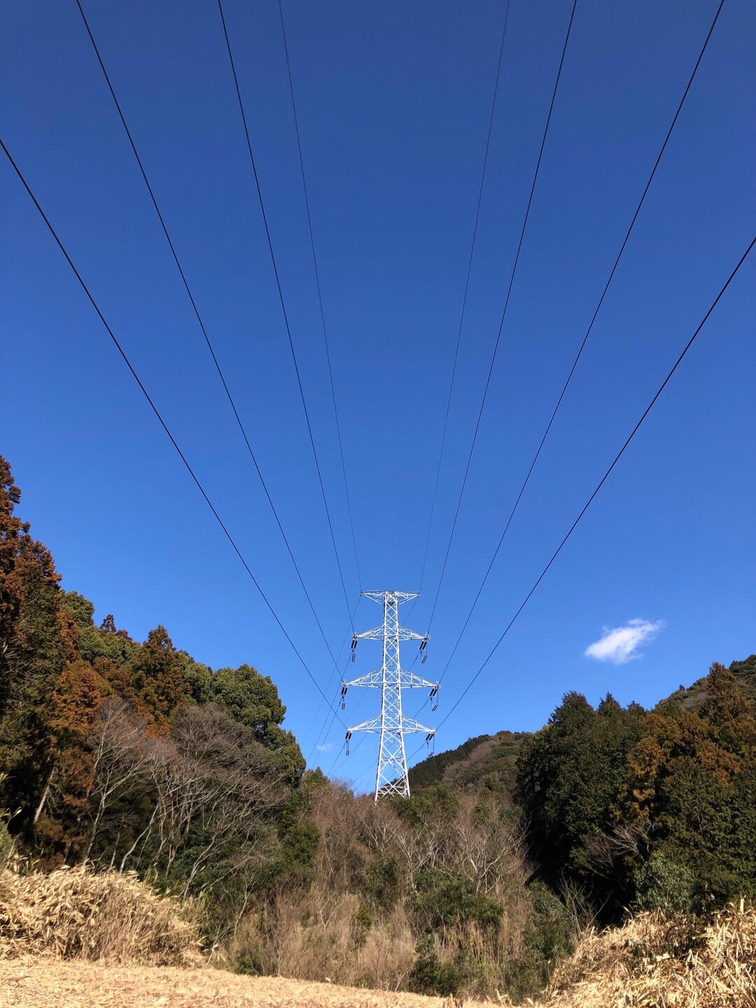 六ヶ岳-周遊（MSC） / さすらいさんの六ヶ岳の活動日記 | YAMAP / ヤマップ