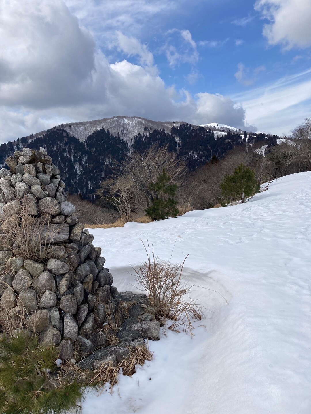 R5.3.4 コヤマノ岳・前山 / こじかさんの比良山地・武奈ヶ岳・釈迦岳の活動データ | YAMAP / ヤマップ