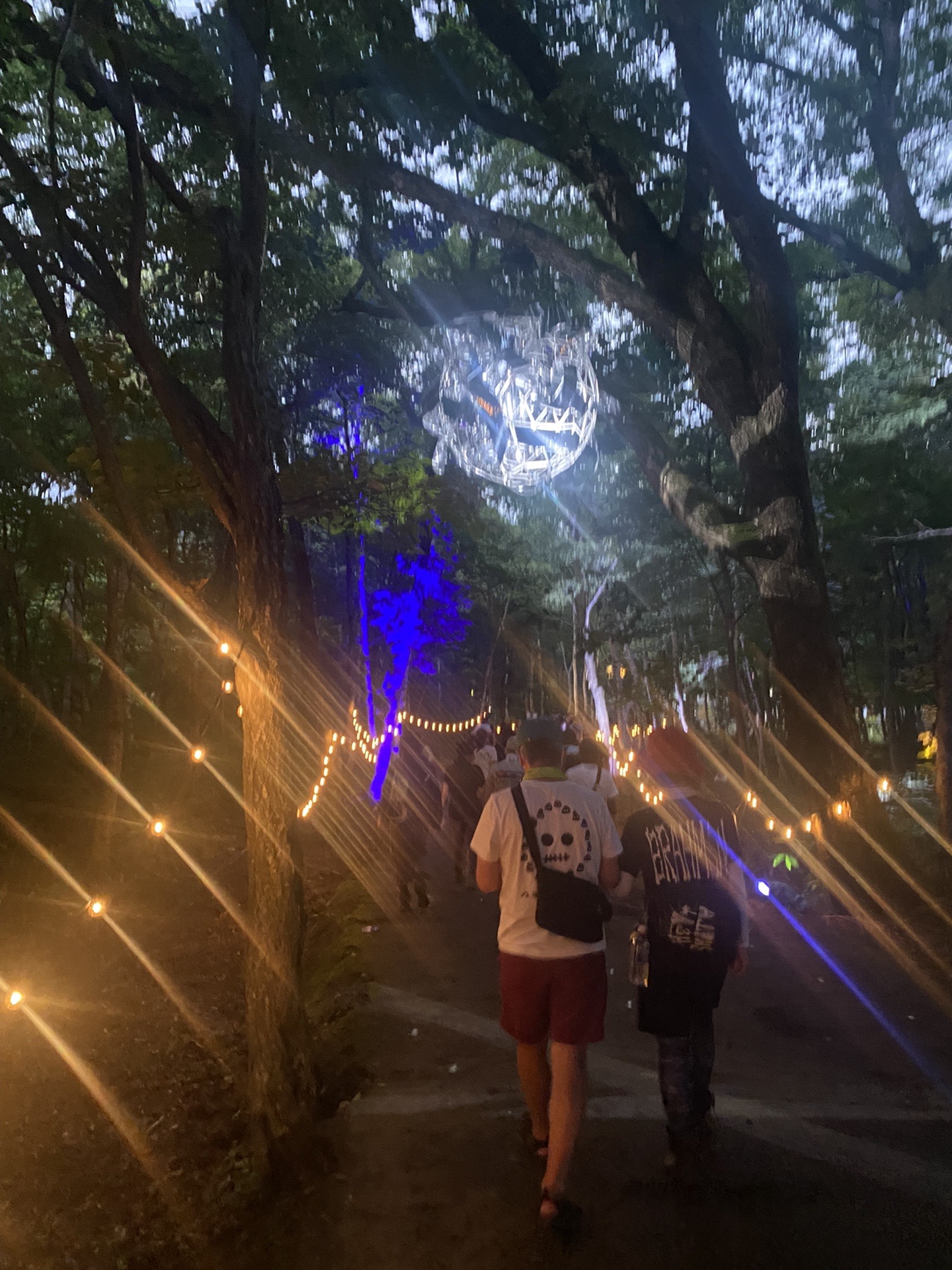 フジロック DAY:1 JONAS BL... / カツスケさんのモーメント | YAMAP / ヤマップ