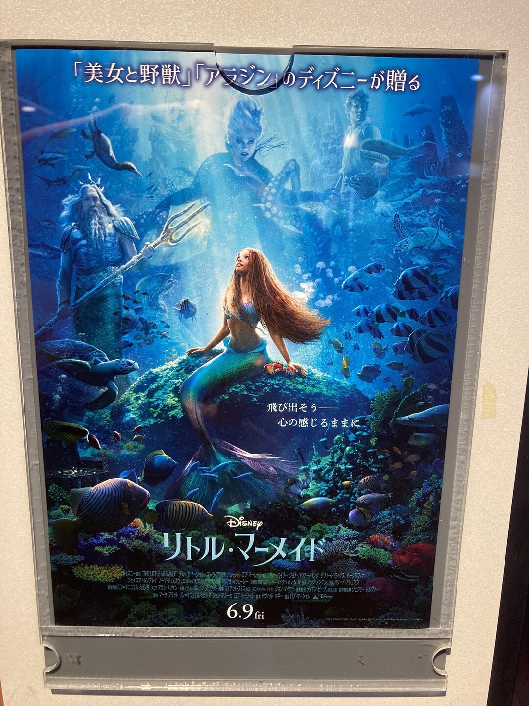 アリエルに会いに行ってきました♪♪ / K2さんのモーメント | YAMAP / ヤマップ