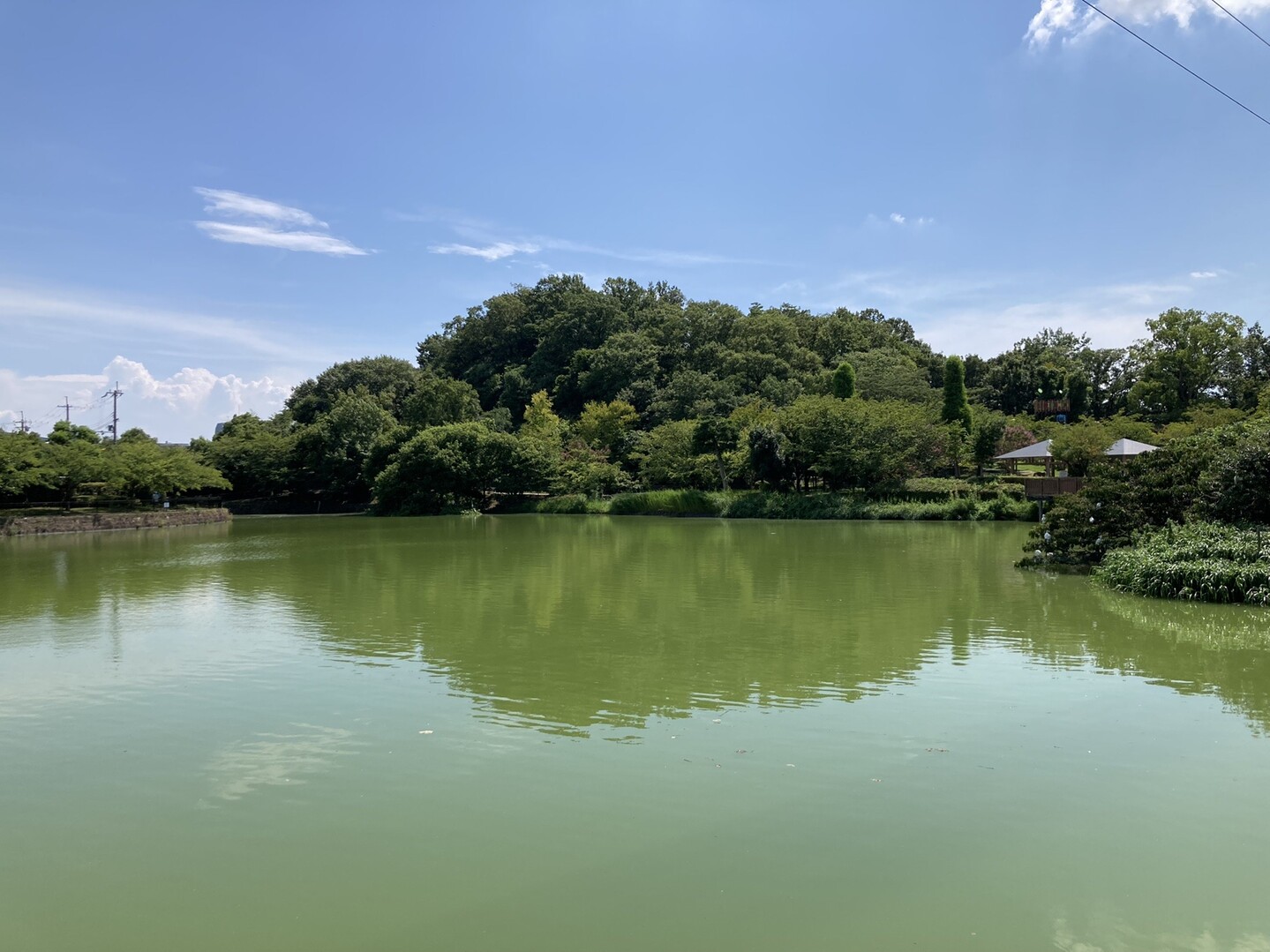 幣久良山 / PB-4さんの竜王山・阿武山の活動データ | YAMAP / ヤマップ