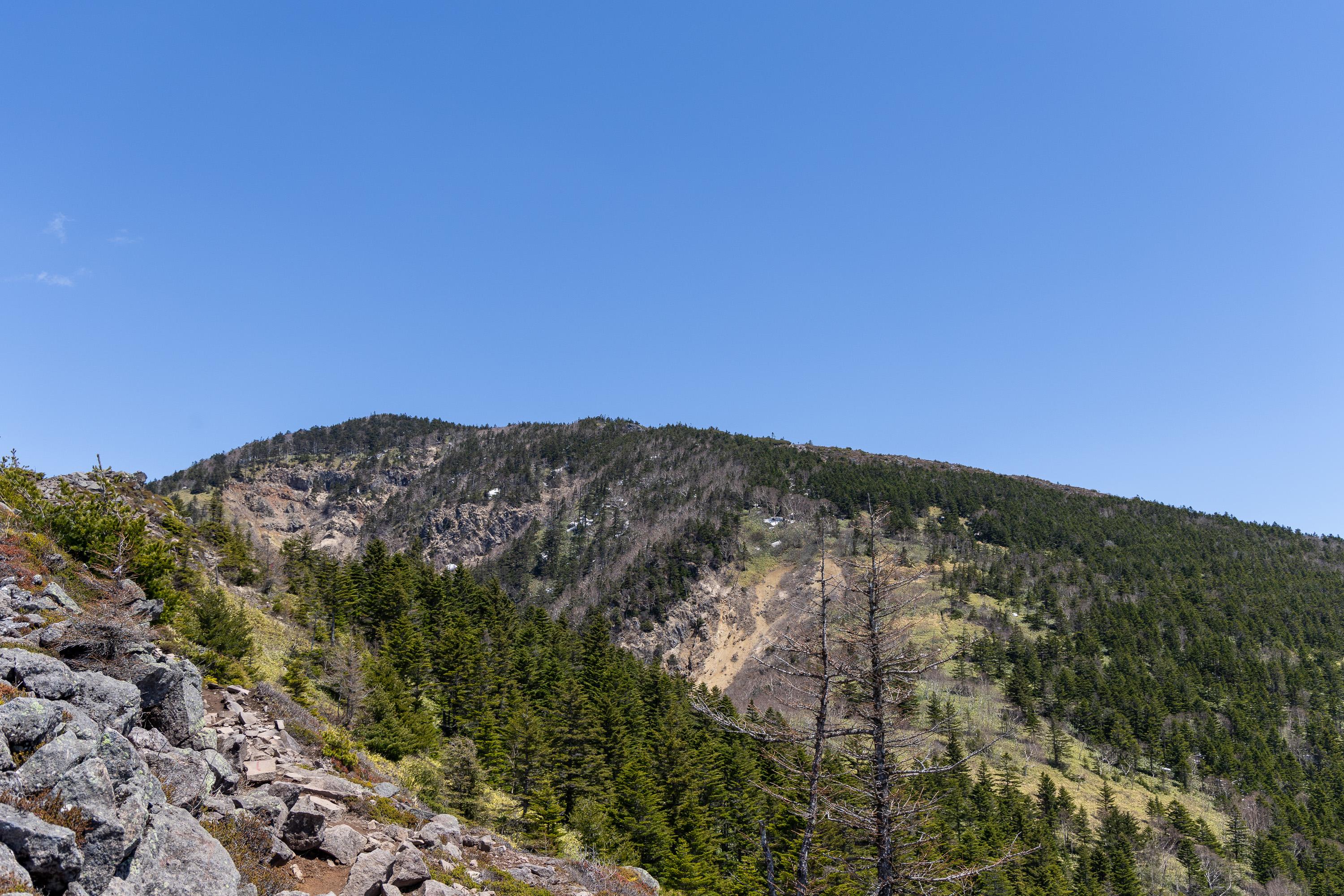 小四阿・中四阿・四阿山・根子岳 / YAMAPEEさんの四阿山・根子岳の活動データ | YAMAP / ヤマップ