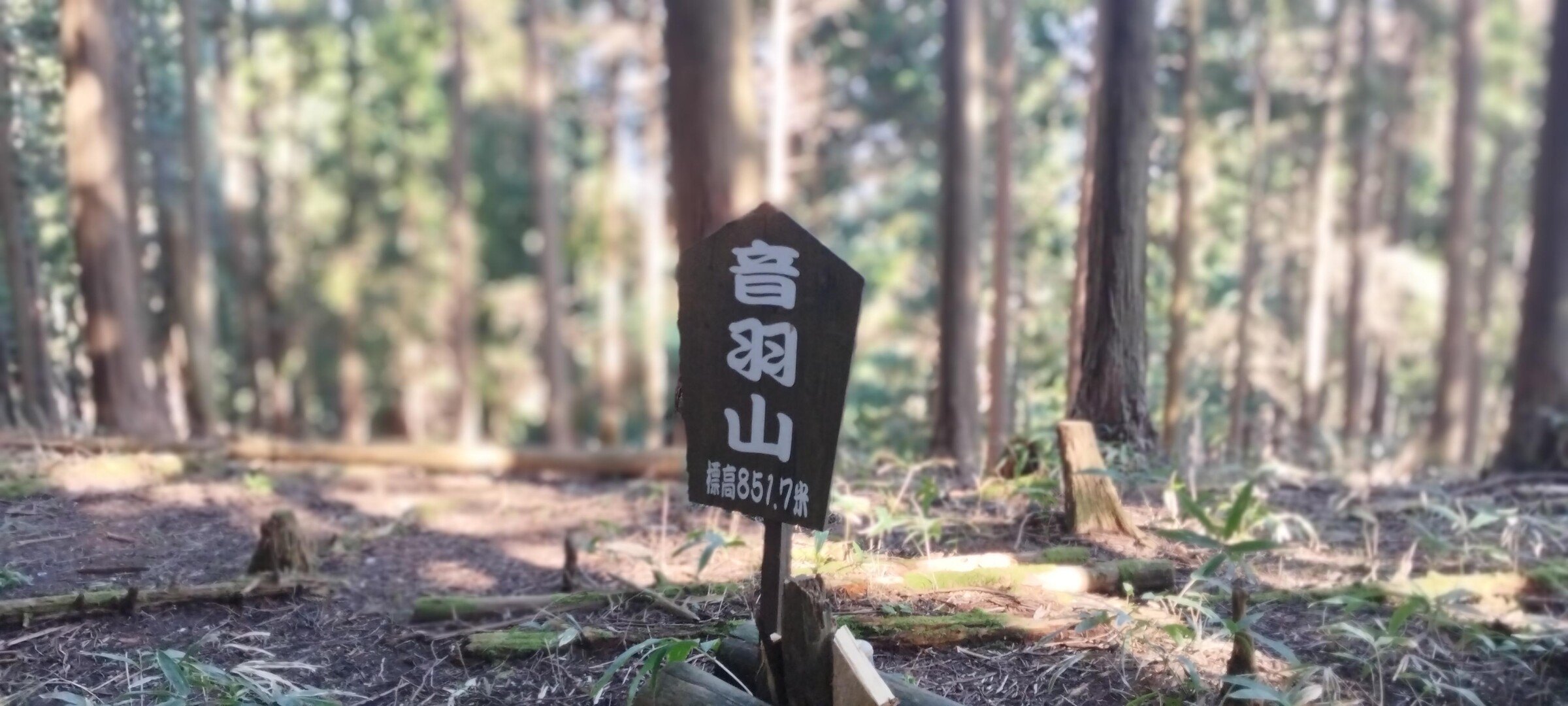 音羽山 / hideさんの音羽山・竜門岳（龍門岳）・熊ヶ岳の活動データ | YAMAP / ヤマップ