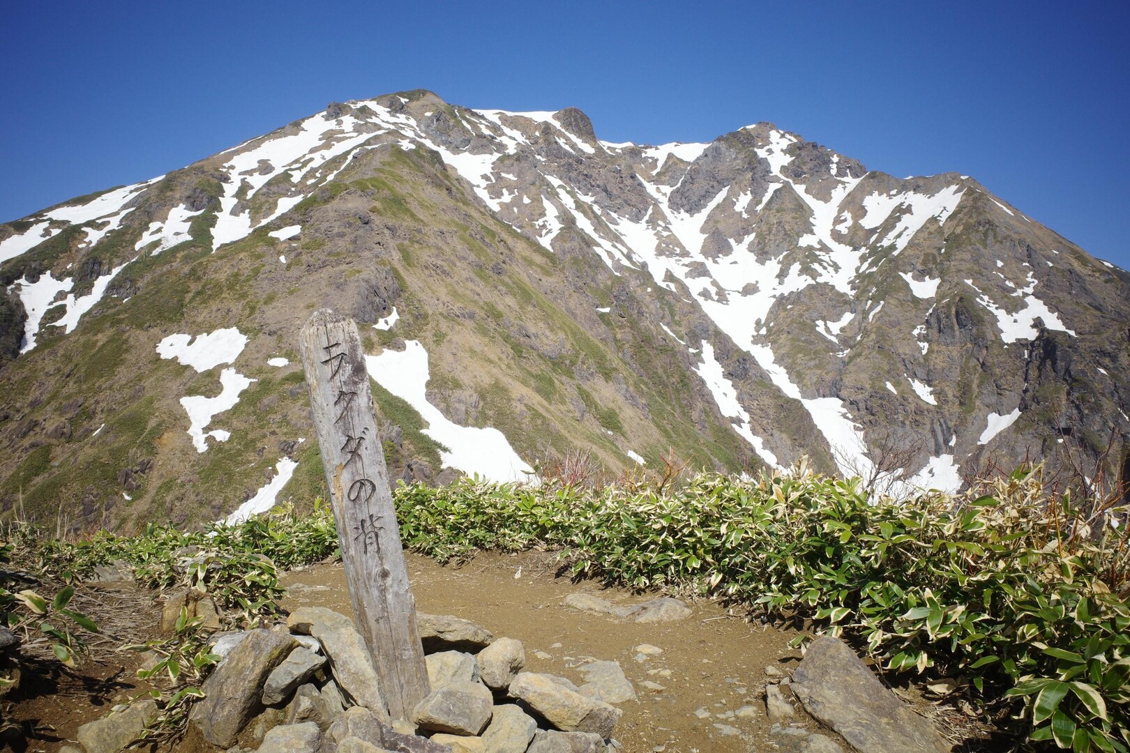 初夏の谷川岳 / nekomenさんの谷川岳・七ツ小屋山・大源太山の活動データ | YAMAP / ヤマップ