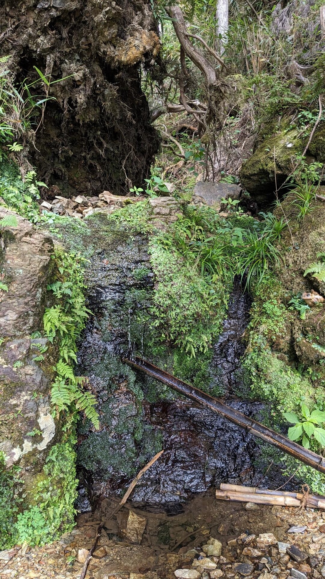 YAMAKEIさんの投稿したフィールドメモ | YAMAP / ヤマップ