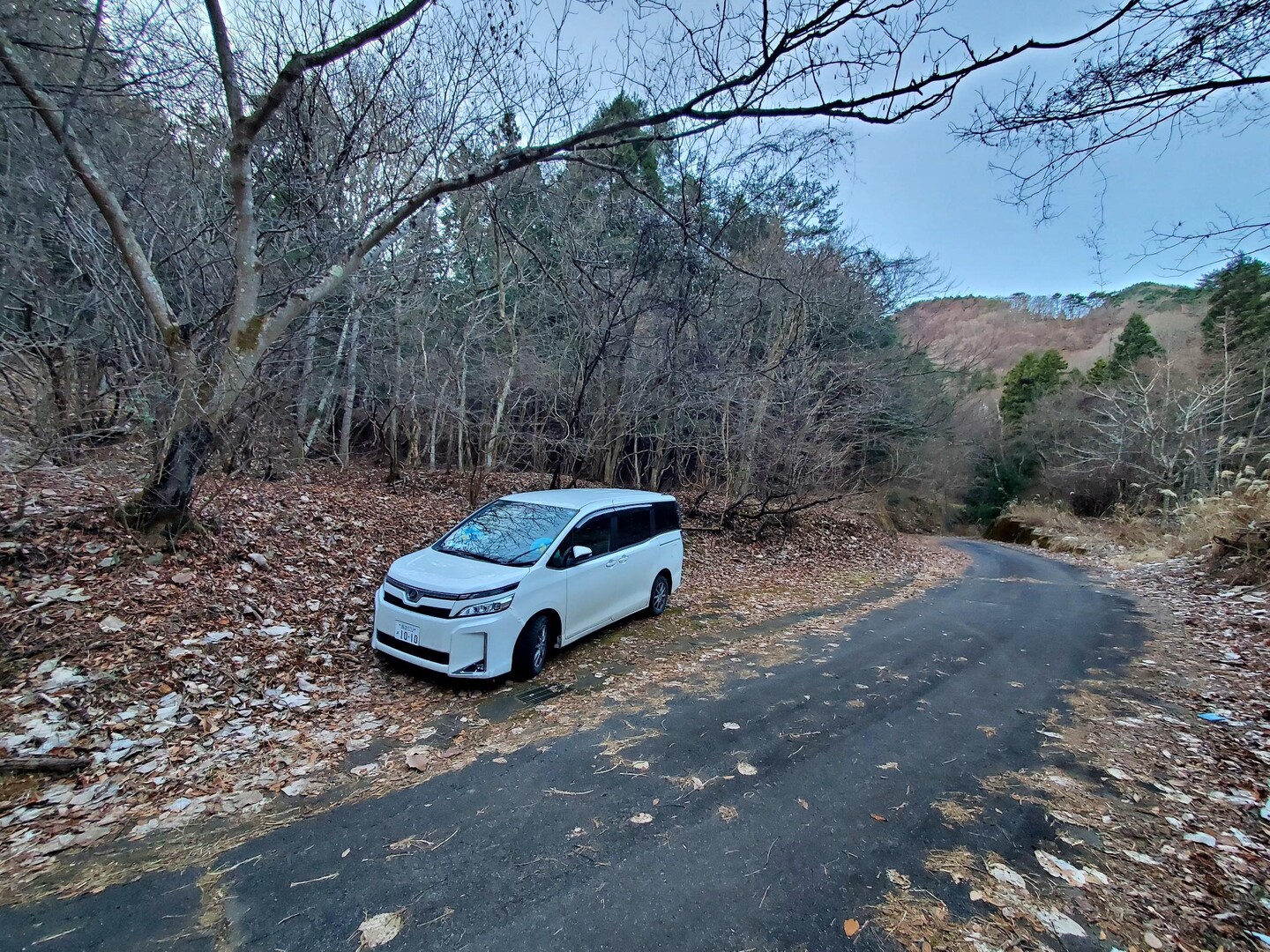 yky-go(ゆき)さんの投稿したフィールドメモ | YAMAP / ヤマップ