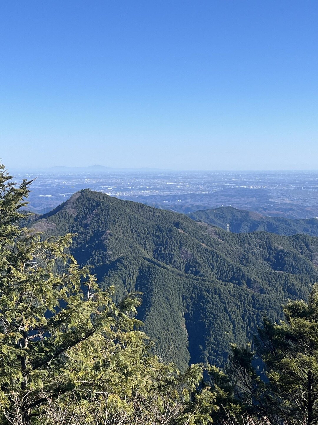 高岩山・日の出山(大岳鍾乳洞入口BS→つるつる温泉) / Tomolamoさんの大岳山・御岳山・御前山の活動データ | YAMAP / ヤマップ