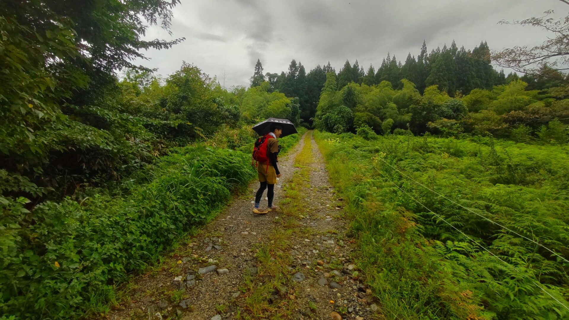 尖山 まったくも～😮‍💨 / nomatさんの尖山の活動データ | YAMAP / ヤマップ