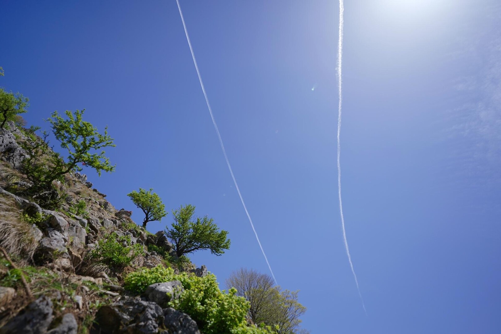 霊仙山最高点・経塚山 / Ayuさんの霊仙山の活動データ | YAMAP / ヤマップ