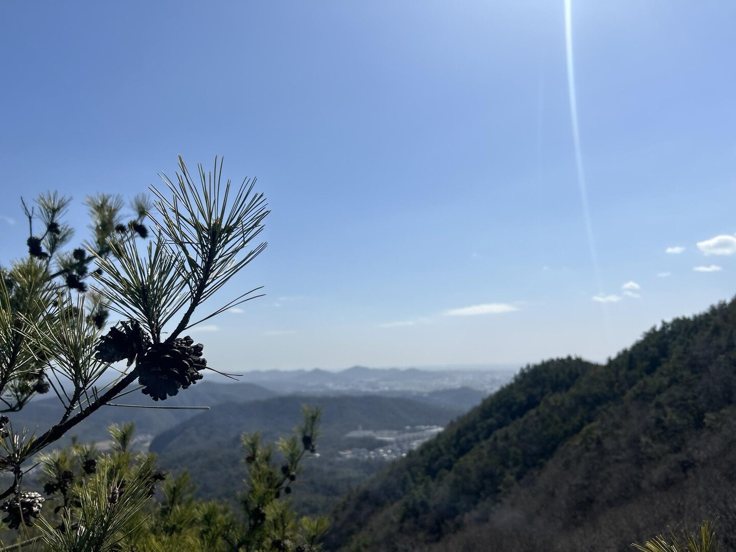迫間山・明王山・金比羅山 / mamiさんの鳩吹山の活動データ | YAMAP / ヤマップ