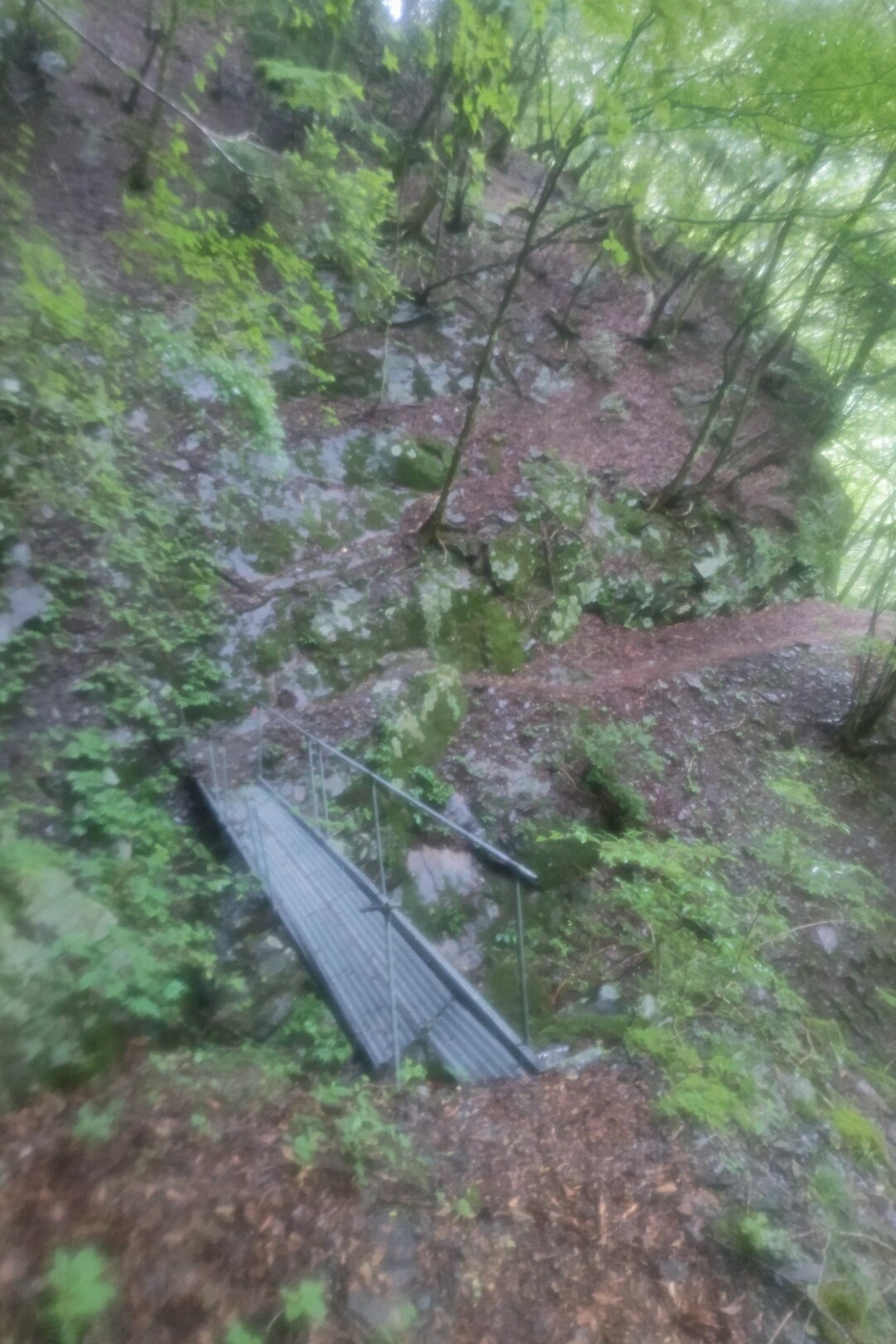 DSIさんの投稿したフィールドメモ | YAMAP / ヤマップ