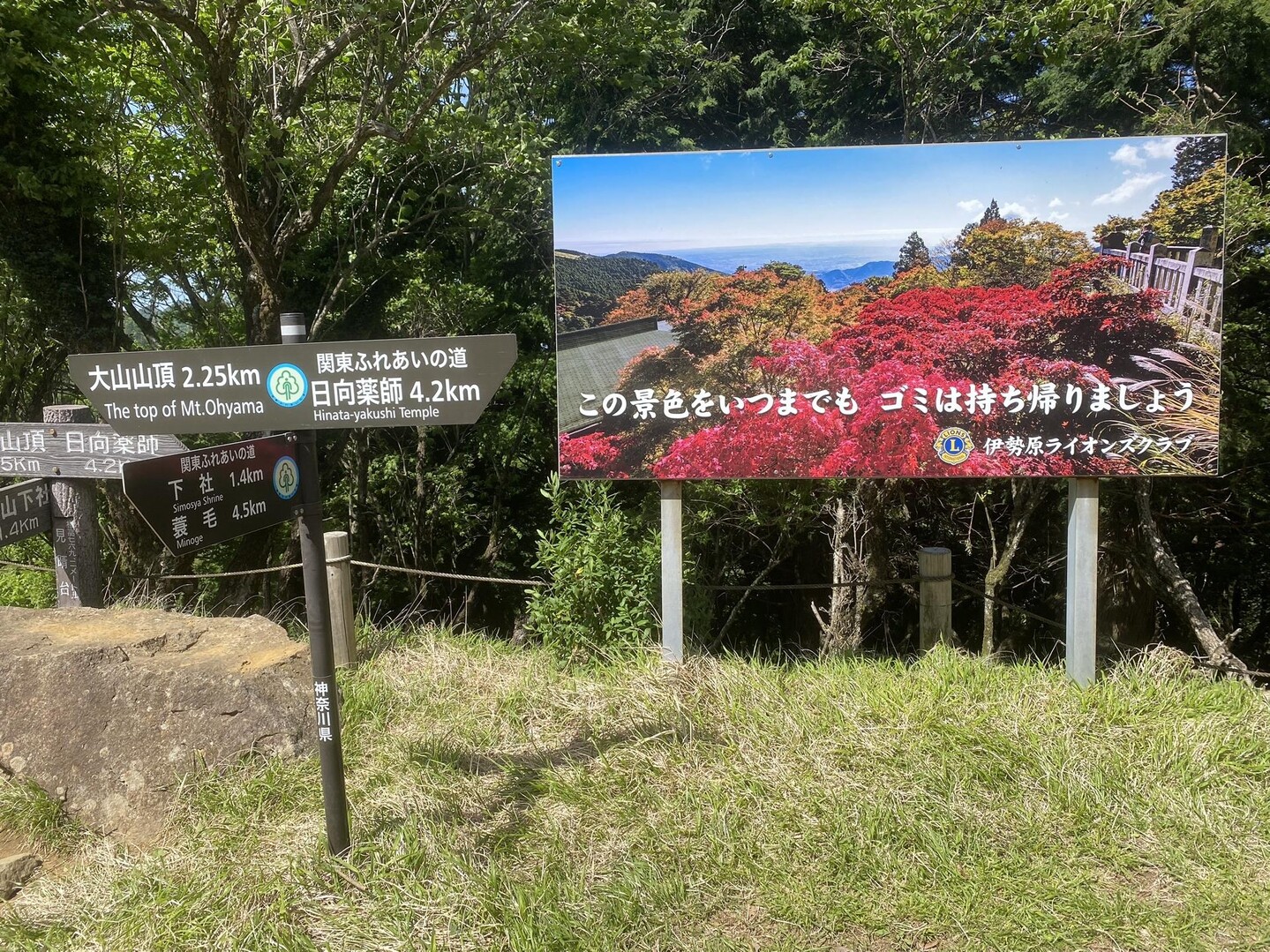 大山見晴台〜日向薬師 / tosiさんのウォーキングの活動データ | YAMAP / ヤマップ