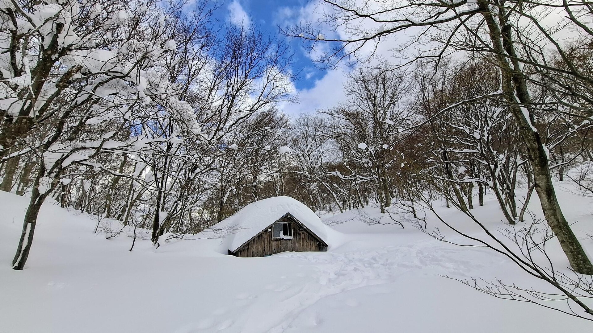 御堂山・月惜山・赤兀山・奥獅子吼山 / tatuさんの奥獅子吼山・口三方岳・烏帽子山の活動日記 | YAMAP / ヤマップ