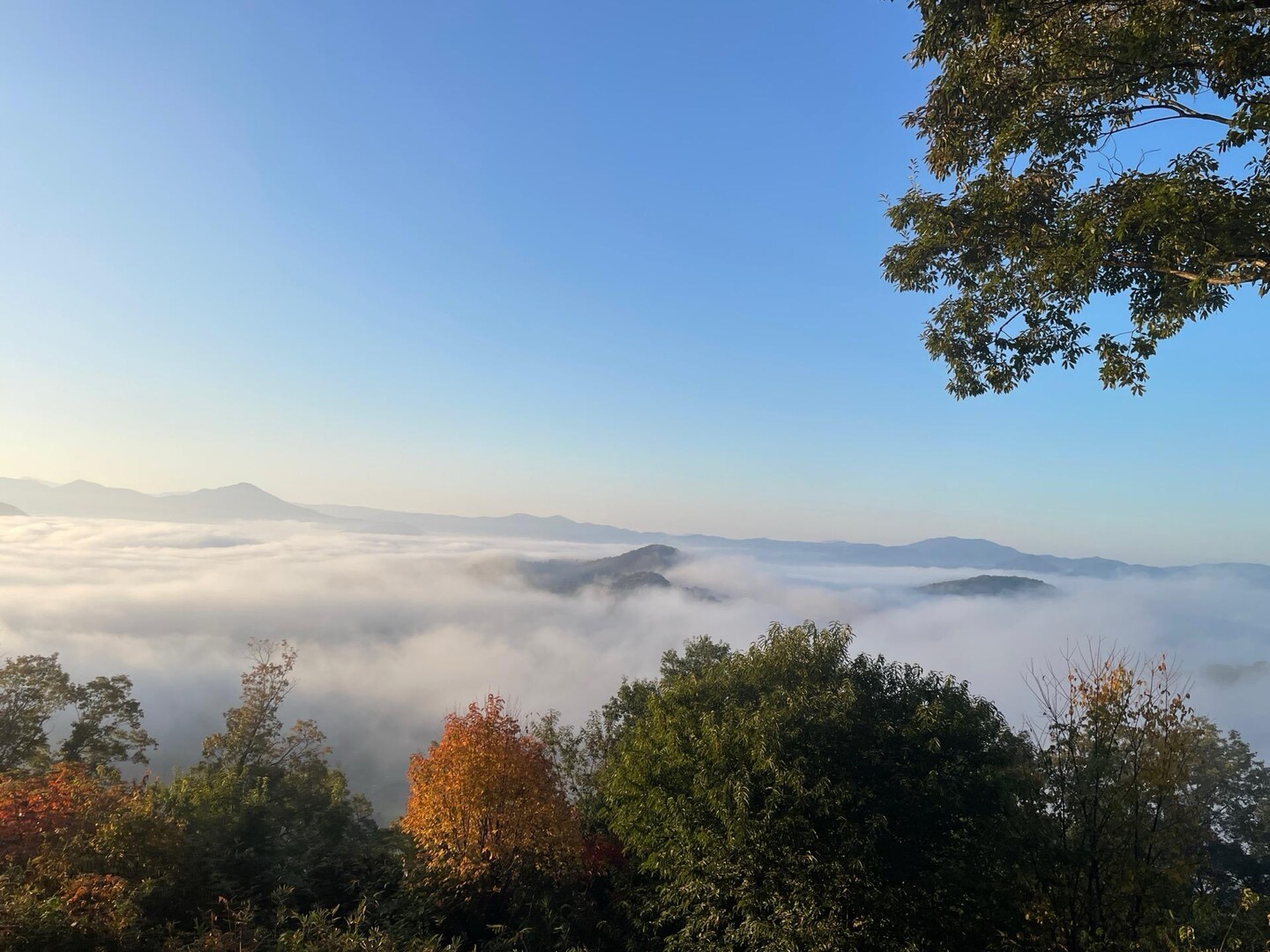 ☁️雲海☁️と紅葉🍁 / JOG太郎さんの城山・経ヶ岳・天神山の活動データ | YAMAP / ヤマップ