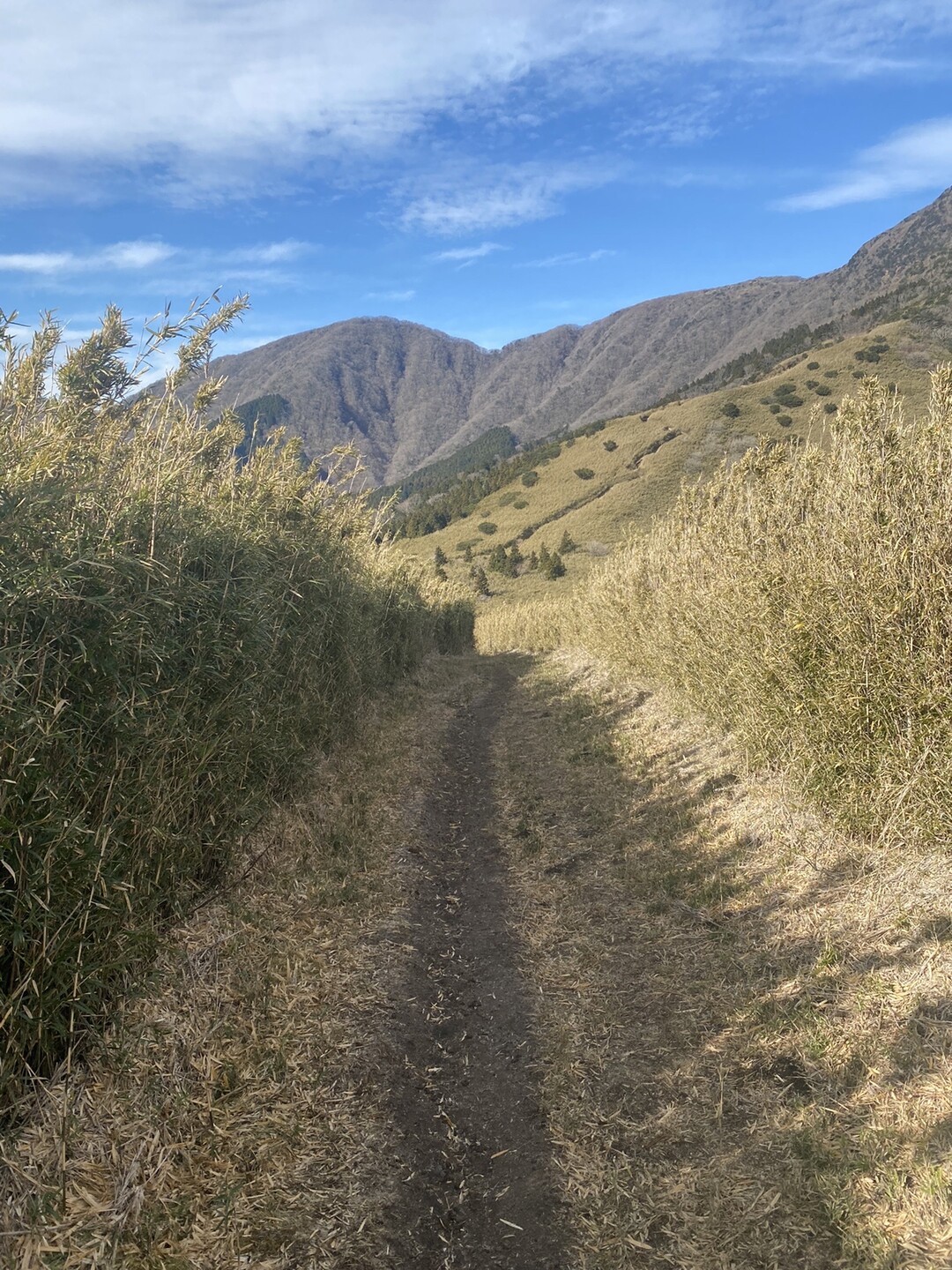 火打石山・明神ヶ岳・明星ヶ岳 / ayumiさんの金時山・明神ヶ岳の活動データ | YAMAP / ヤマップ