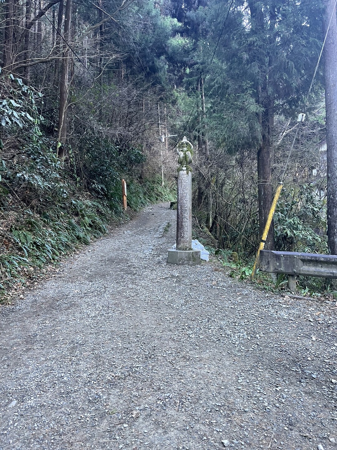 昨日ジョギングで痛めた膝裏。 まだ少し痛... / ihatoveさんのモーメント | YAMAP / ヤマップ