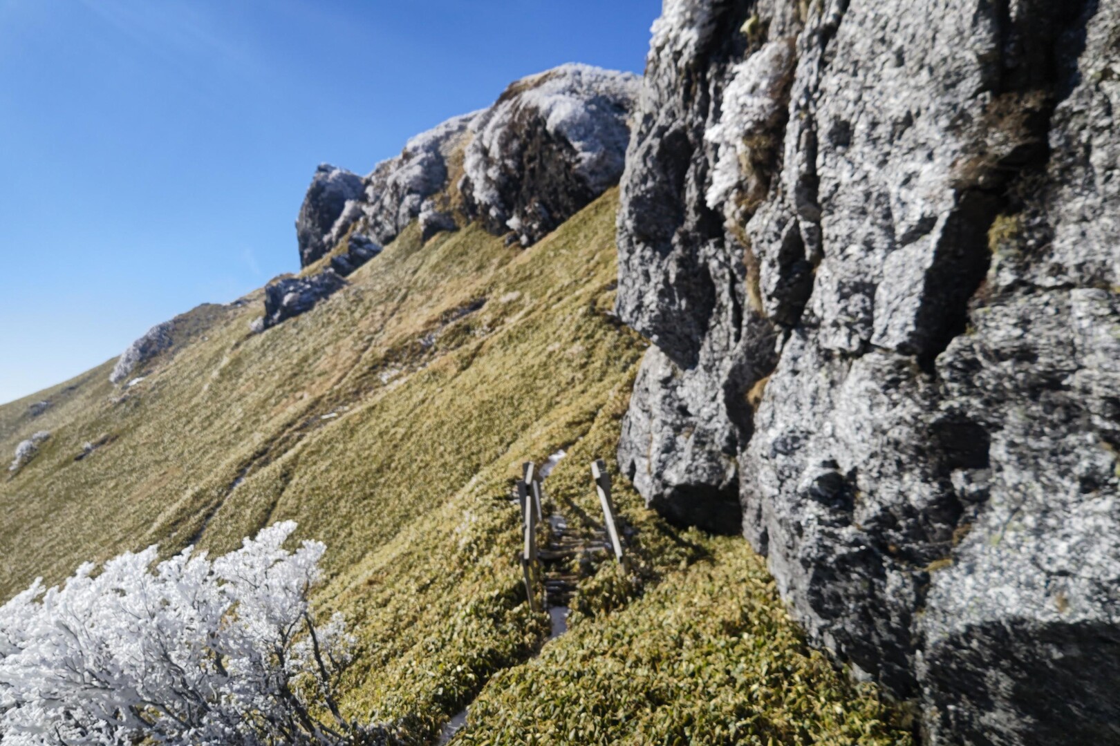 三嶺 専属🐶ガイド＋SP / つるしまさんの三嶺・天狗塚・石立山の活動データ | YAMAP / ヤマップ
