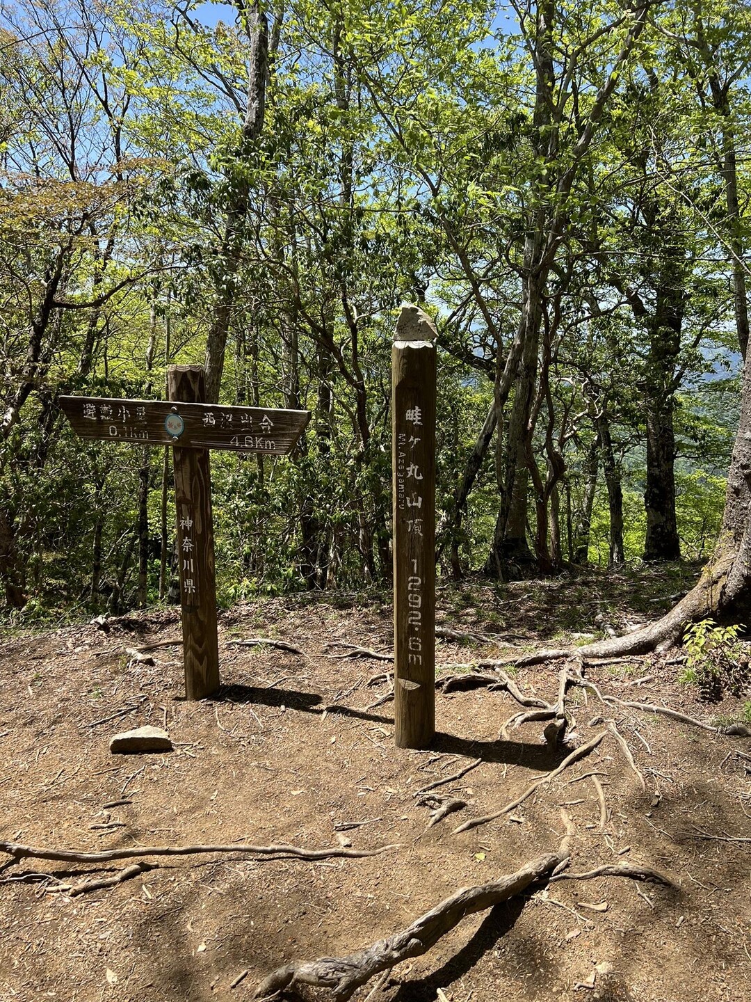 畦ヶ丸山 / key*さんの大室山・畦ヶ丸山・菰釣山の活動データ | YAMAP / ヤマップ