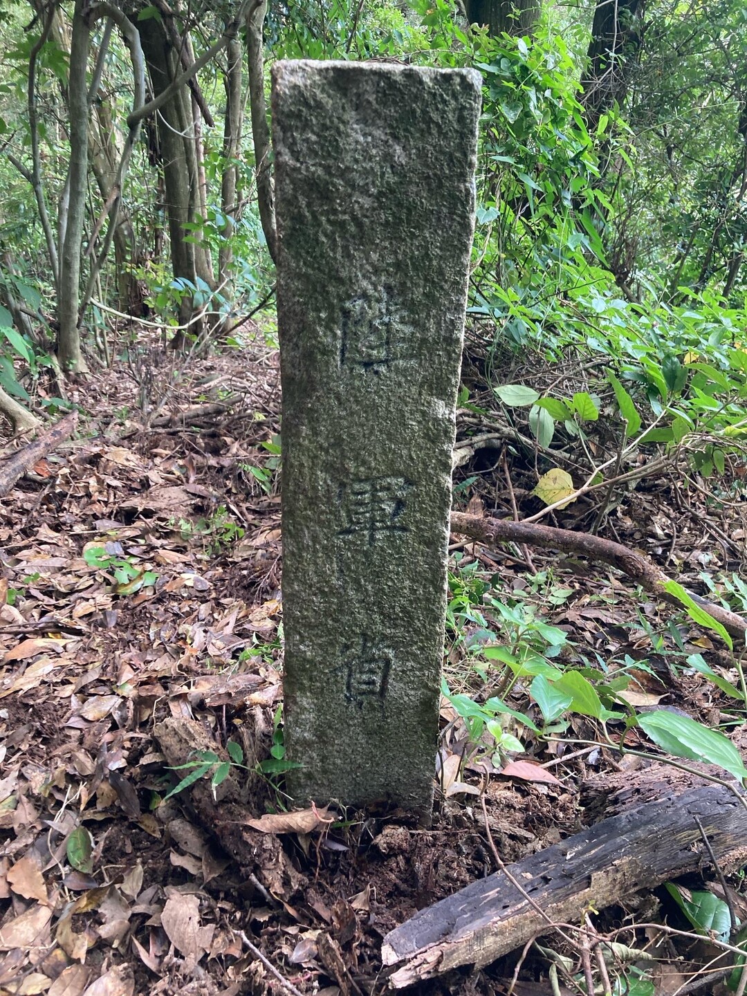 Non-dayさんの投稿したフィールドメモ | YAMAP / ヤマップ