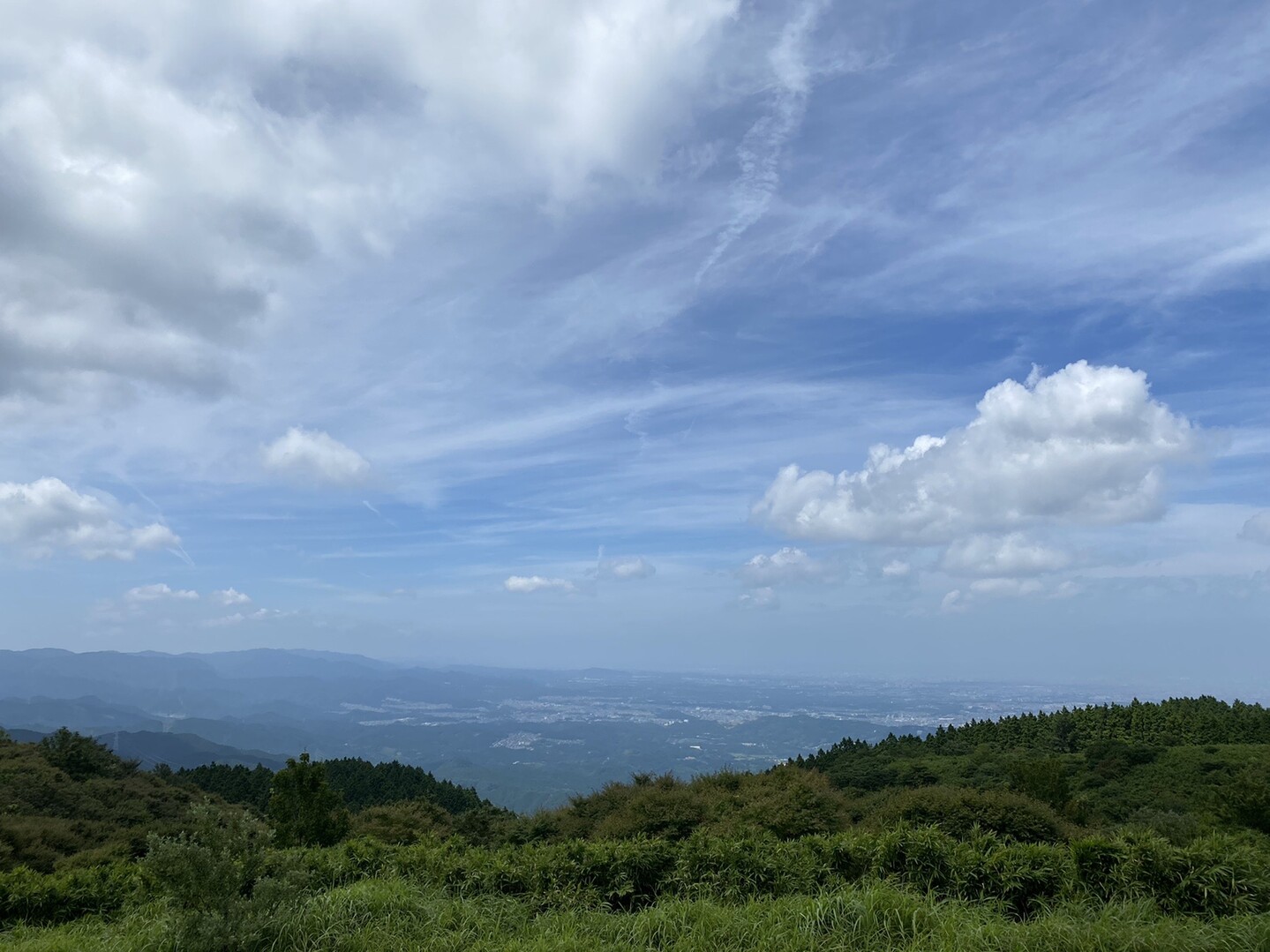 大和葛城山-200809 / koniさんの金剛山・二上山・大和葛城山の活動データ | YAMAP / ヤマップ